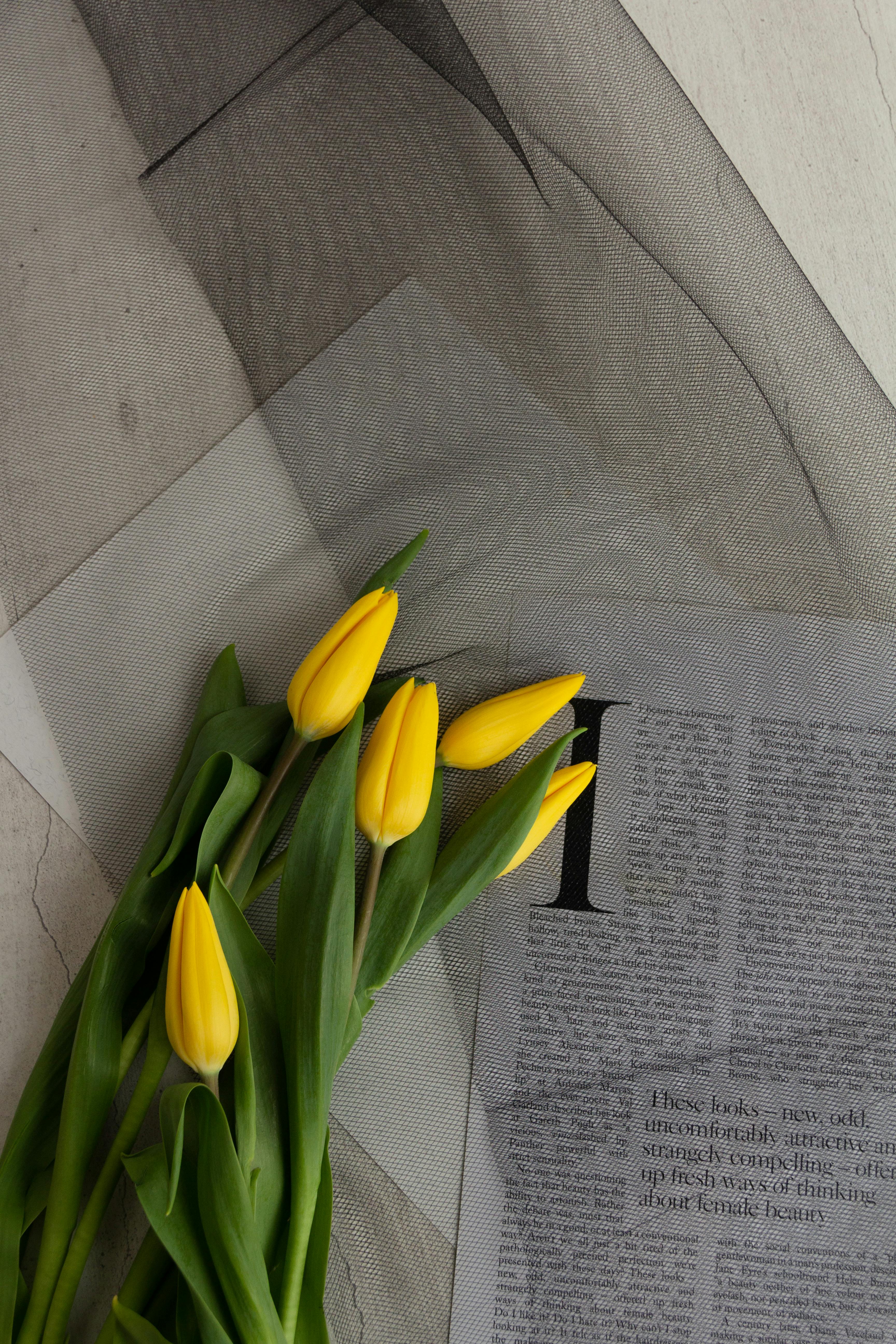 Spring Newspaper Photos, Download The BEST Free Spring Newspaper Stock ...