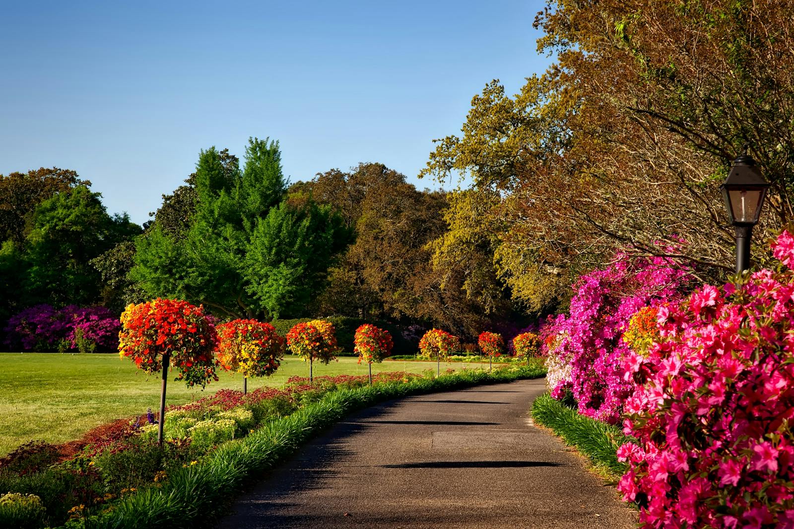 100,000+ Best Flower Garden Images & Wallpapers · 100% Free Download ...