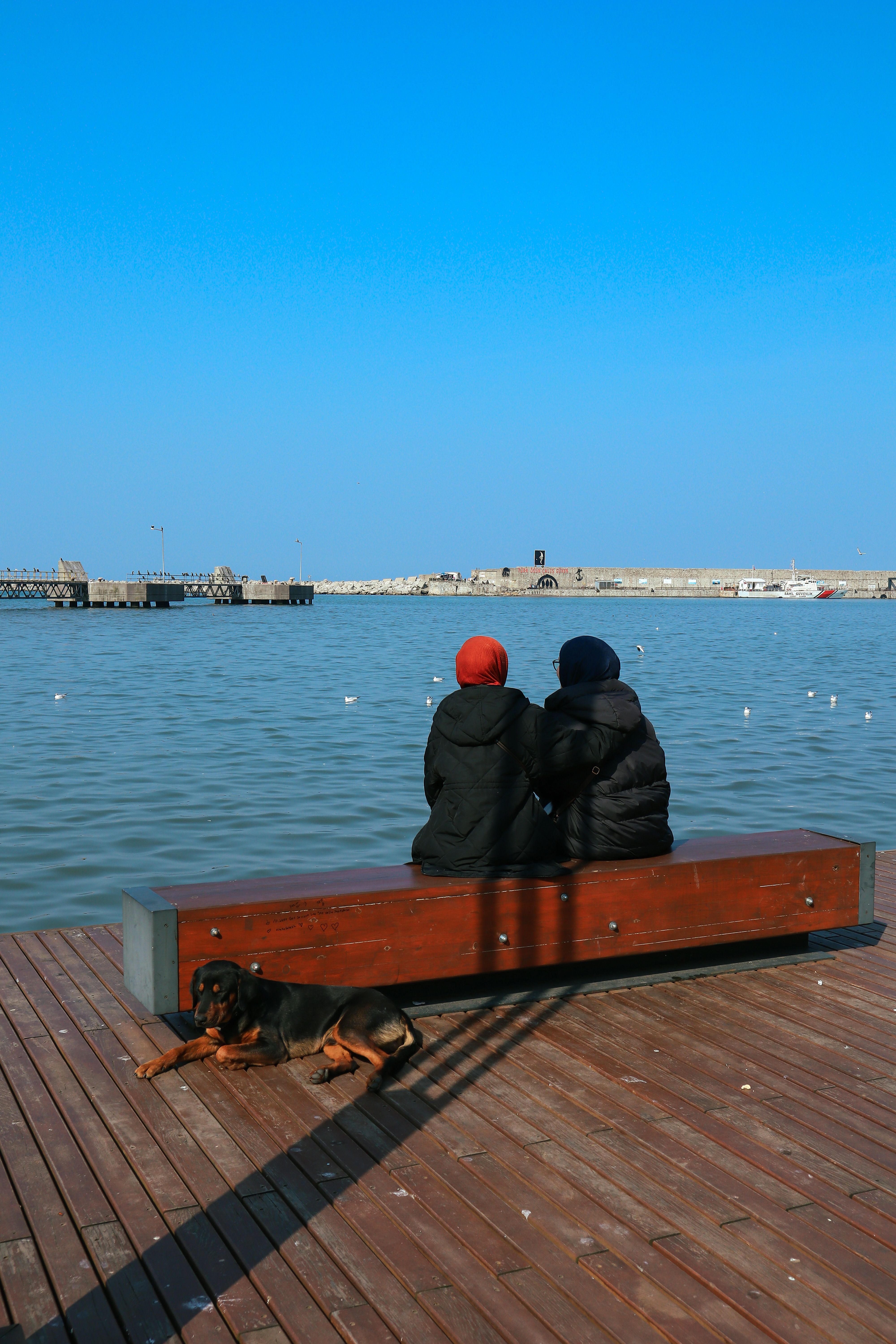 Two People Sitting by a Sea · Free Stock Photo