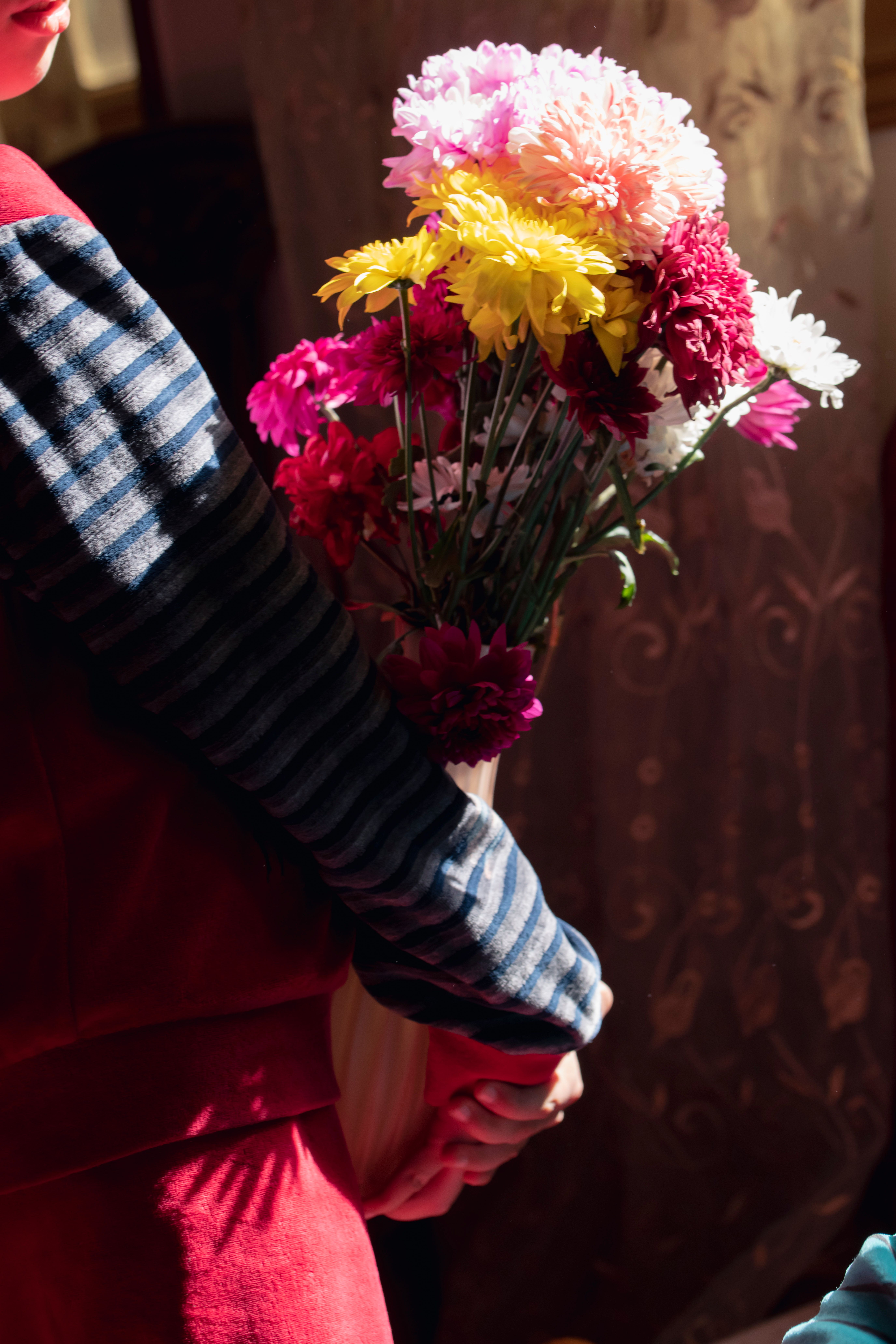 Hand Holding Bouquet · Free Stock Photo
