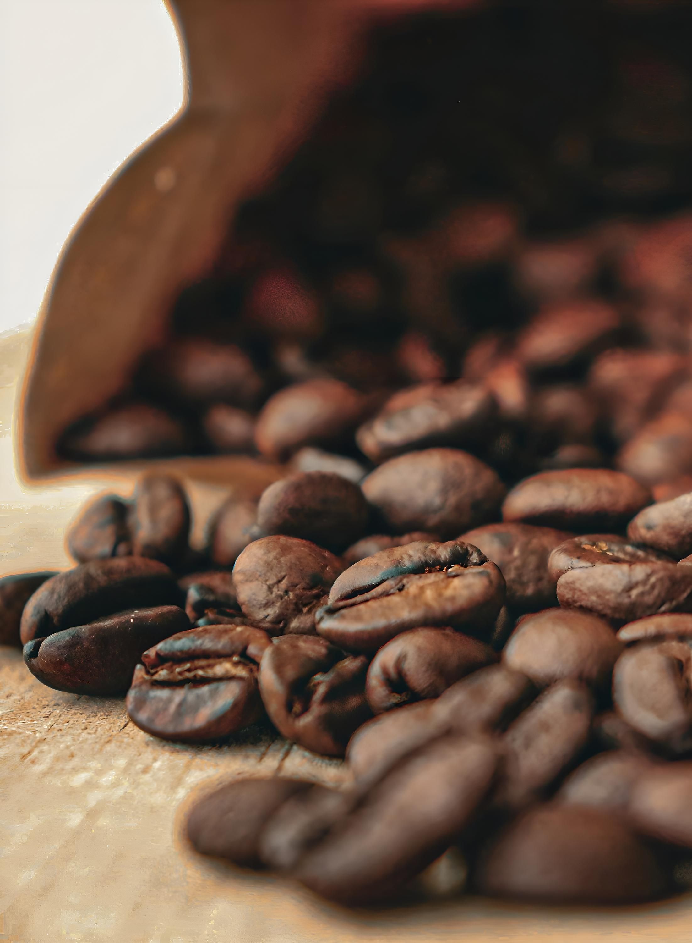 Pile of Coffee Beans · Free Stock Photo