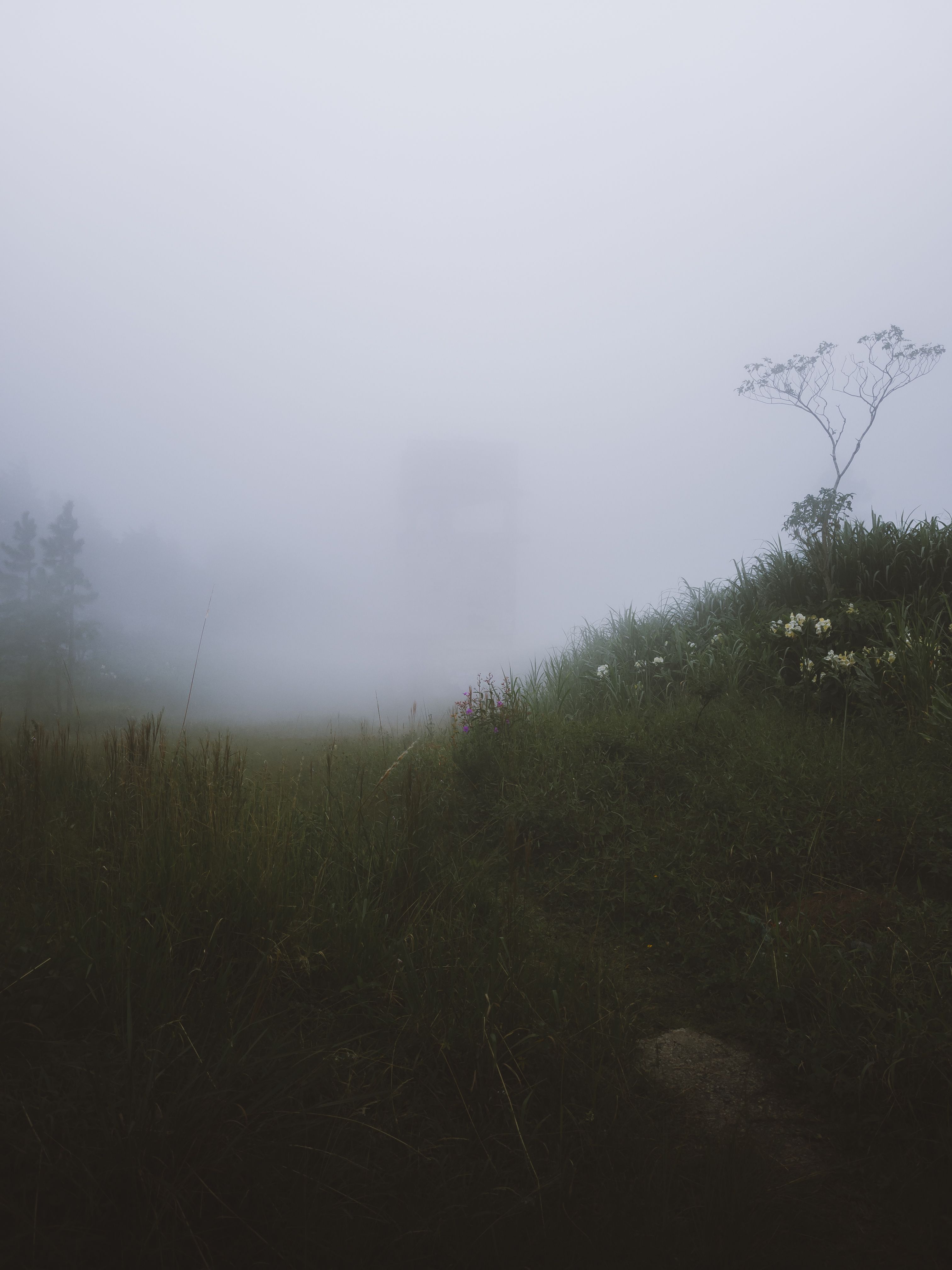 Noisy Environment Photos, Download The BEST Free Noisy Environment ...