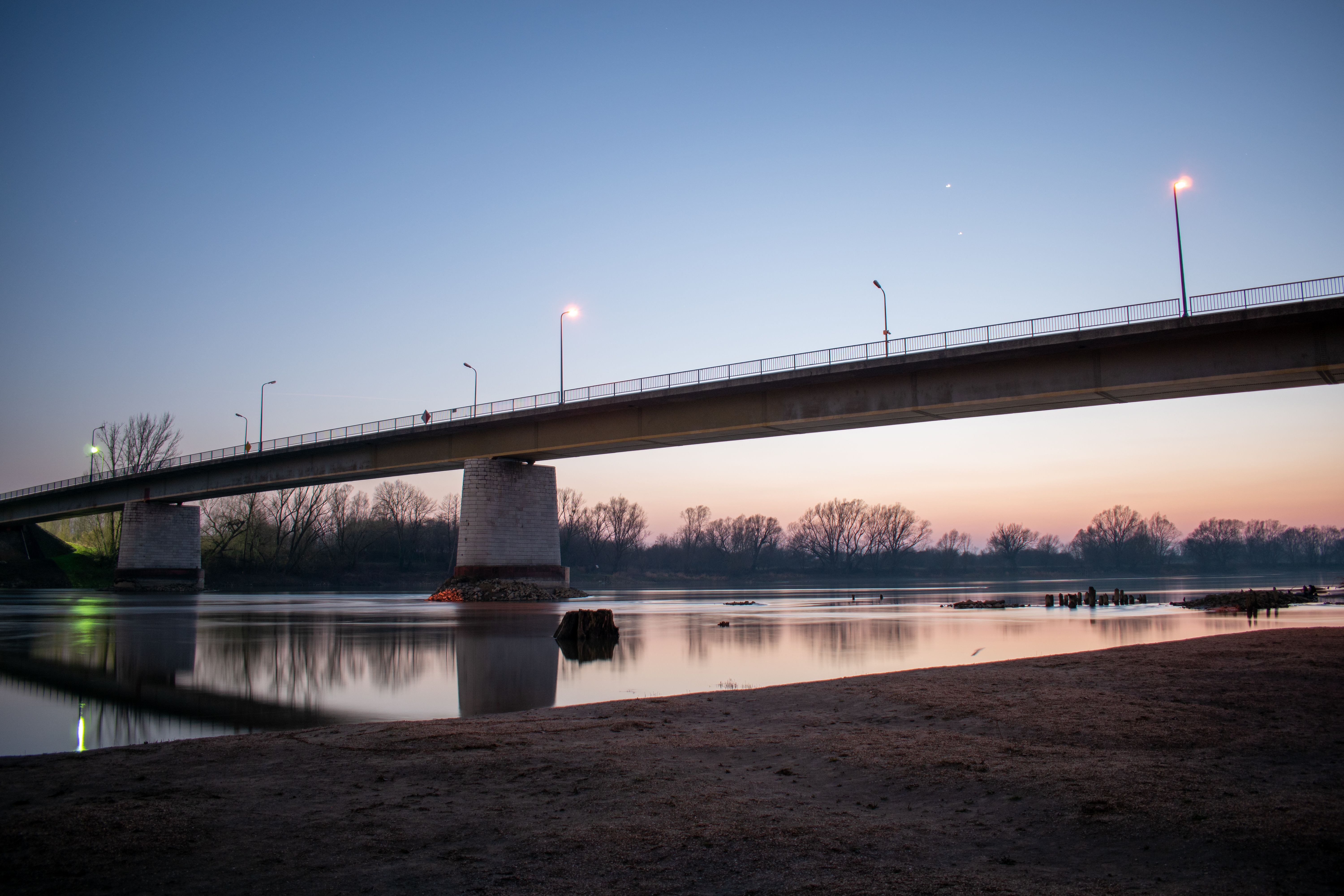Old Arch Bridge Over a River in a Forest · Free Stock Photo