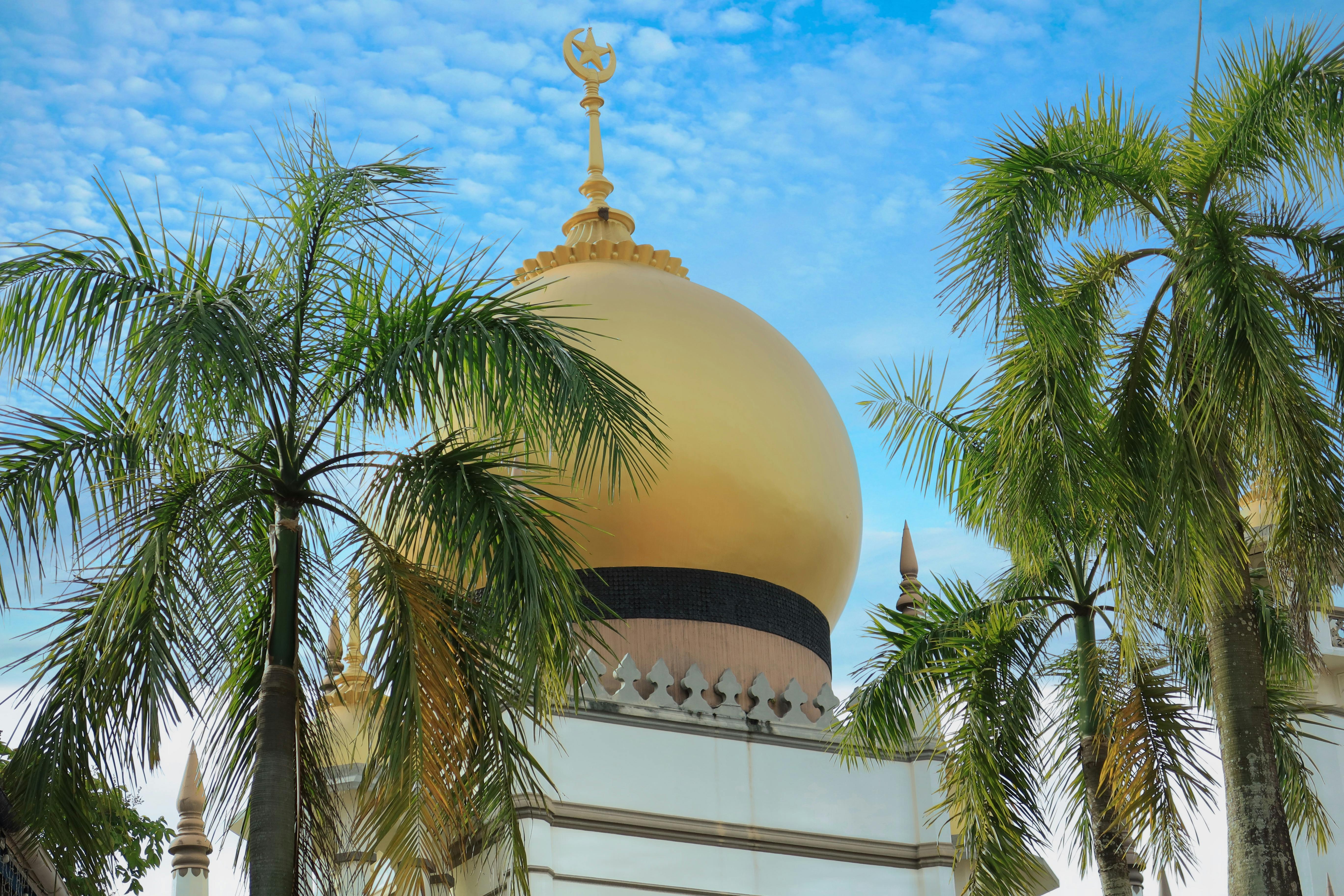 Sultan Mosque among Palm Trees · Free Stock Photo