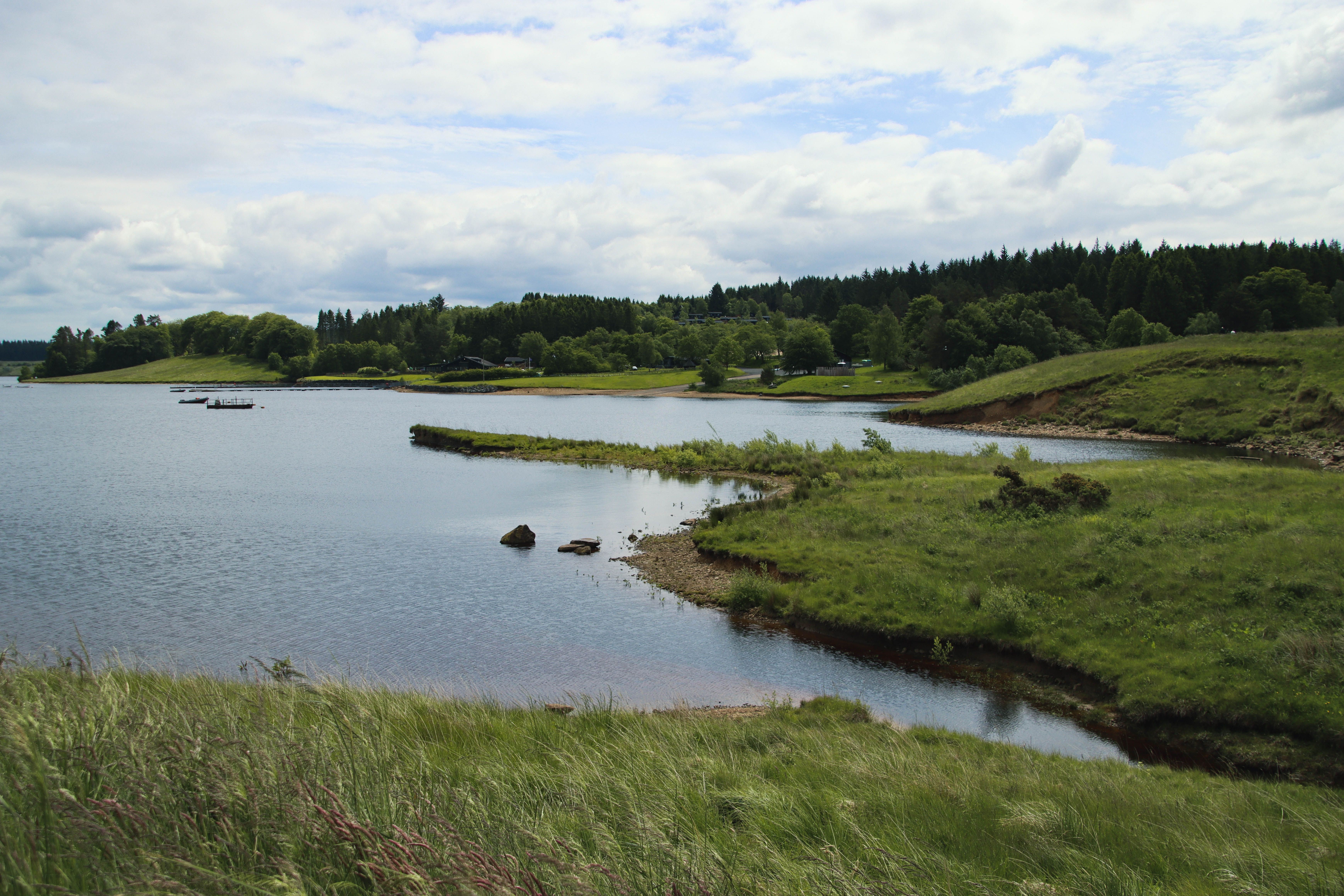 Summer Landscape with Lake · Free Stock Photo