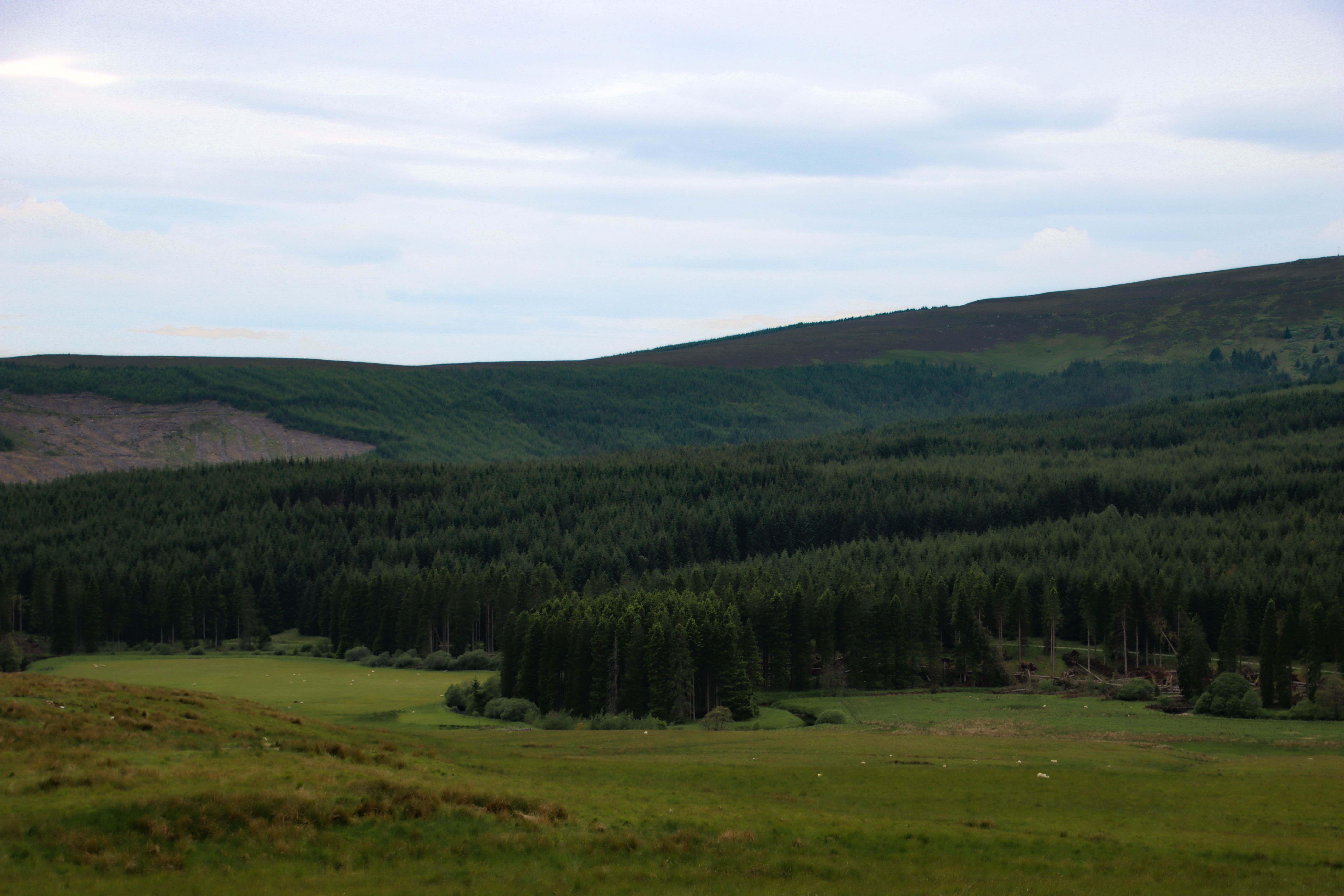 Overground Pipeline on Hill · Free Stock Photo