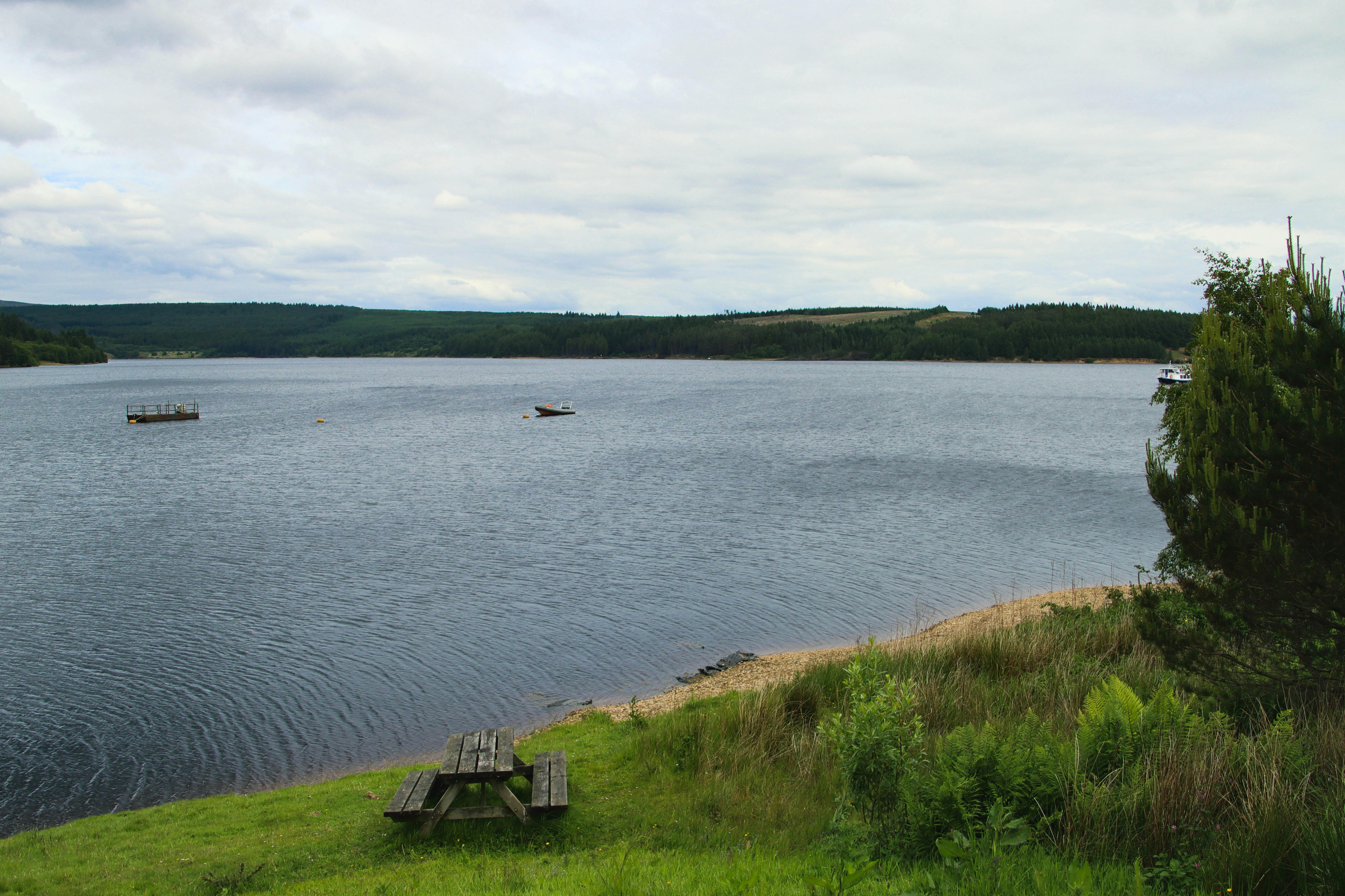 Motor Boat Sailing on Lake · Free Stock Photo