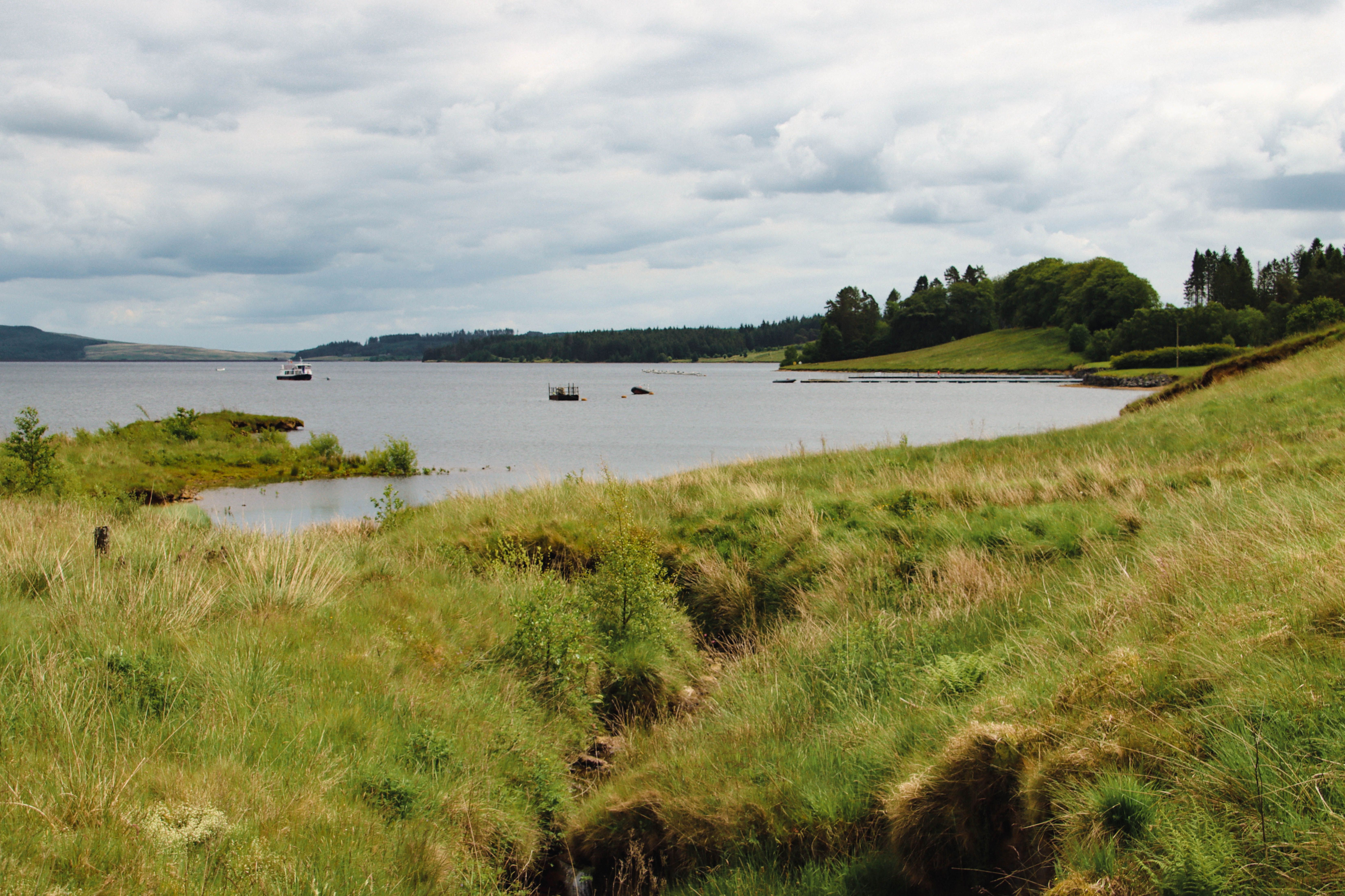 Lake in Summer · Free Stock Photo