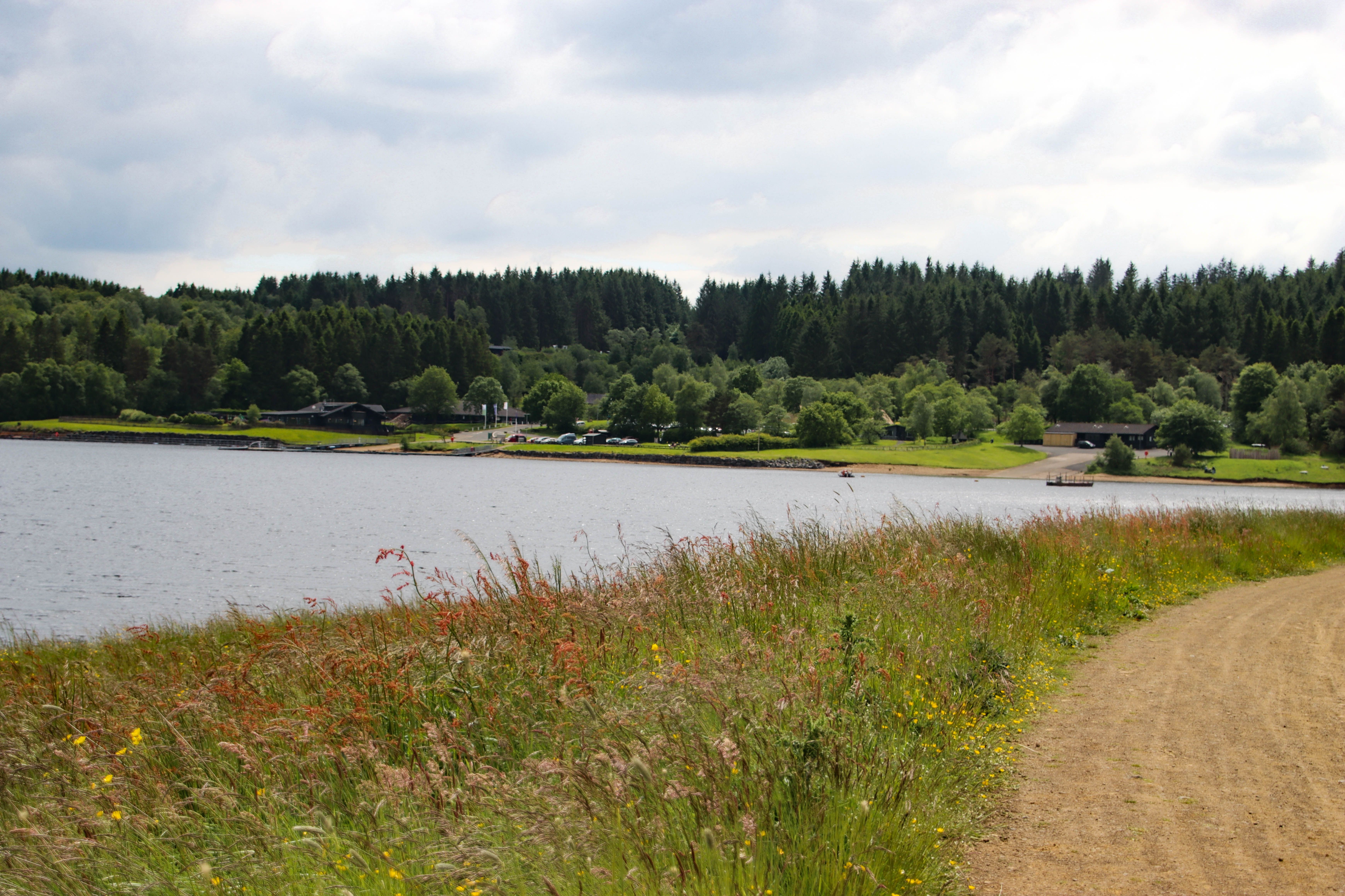 Rural Landscape with Lake · Free Stock Photo