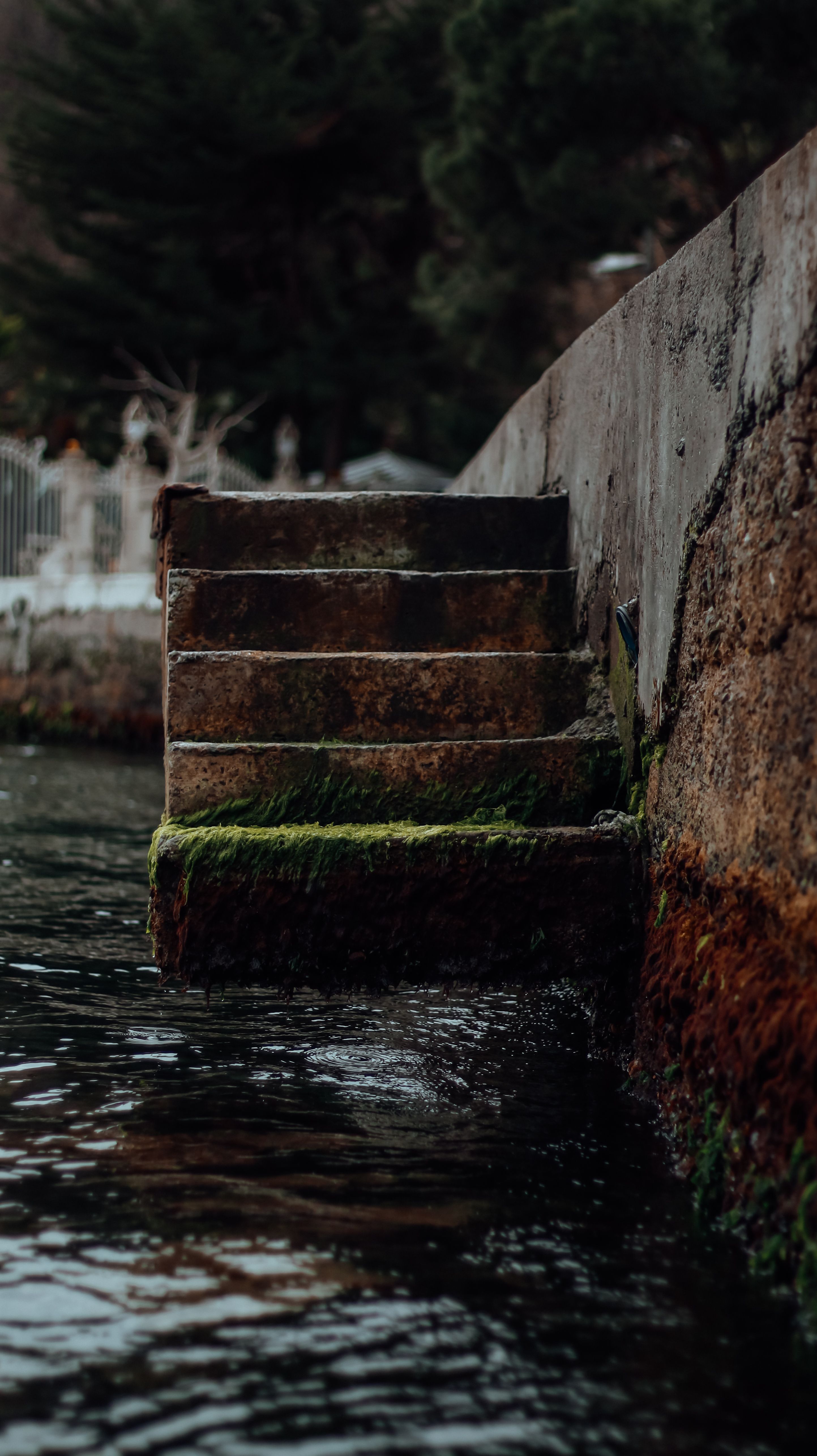 Rising Sea Levels Photos, Download The BEST Free Rising Sea Levels ...