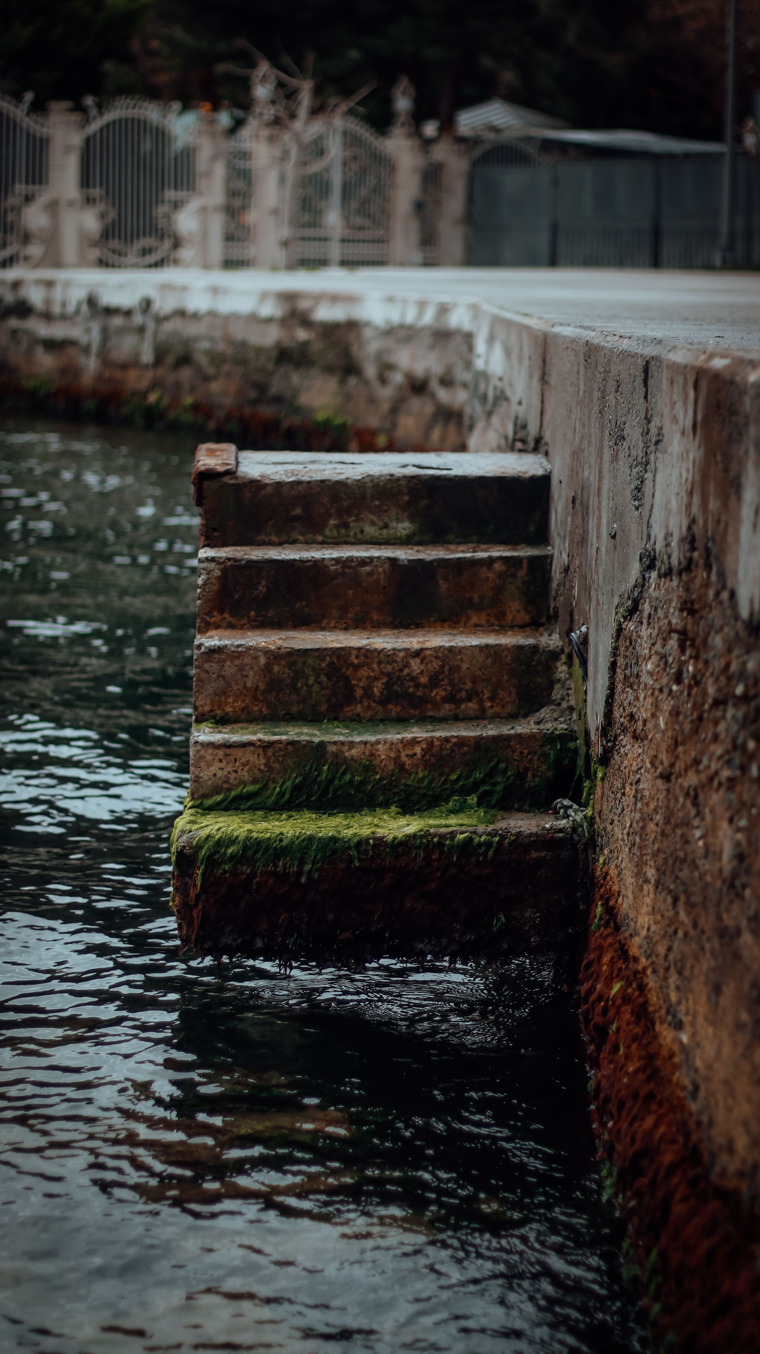 Rising Sea Levels Photos, Download The BEST Free Rising Sea Levels ...