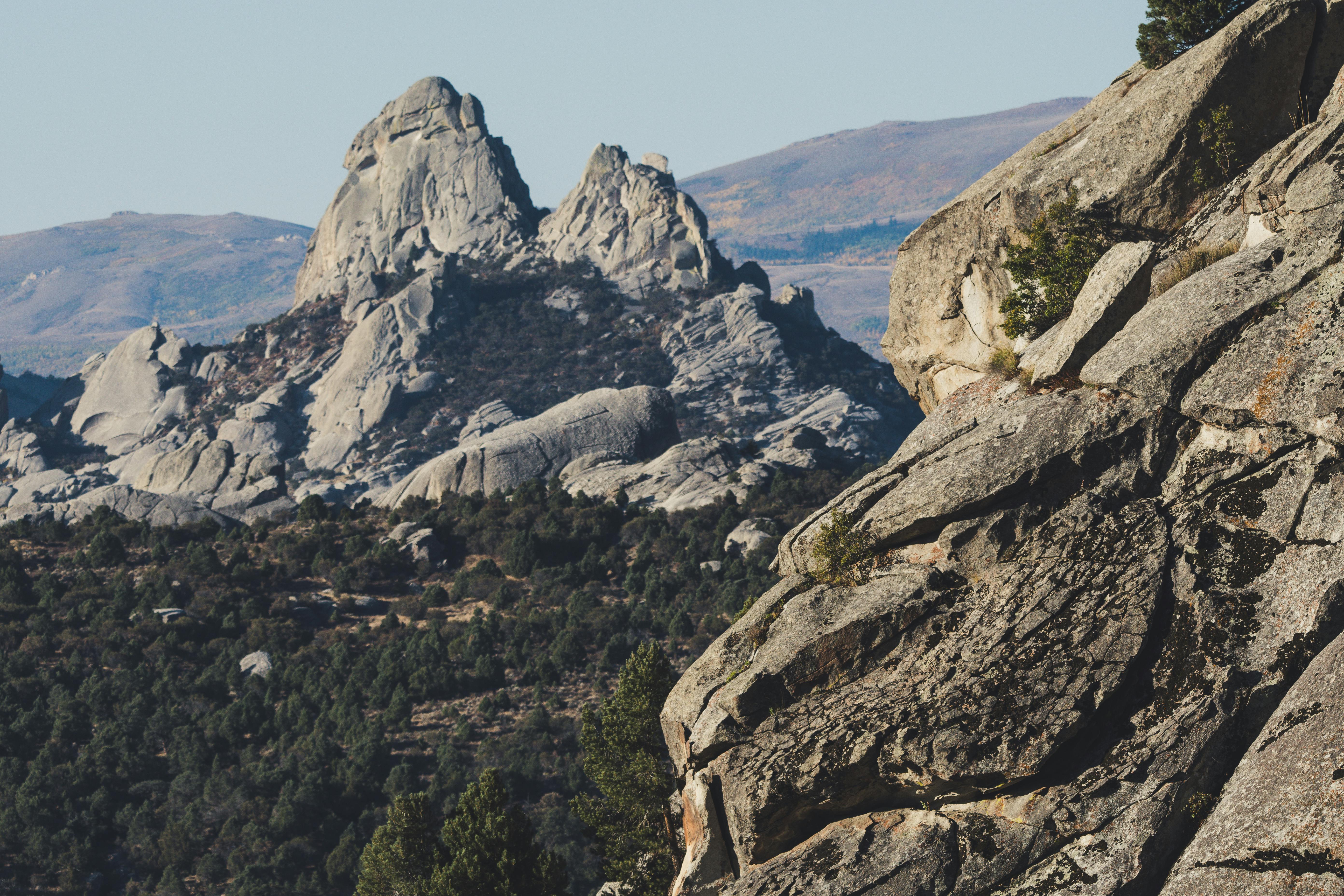 Gray Rocky Mountains Surrounded With Trees · Free Stock Photo