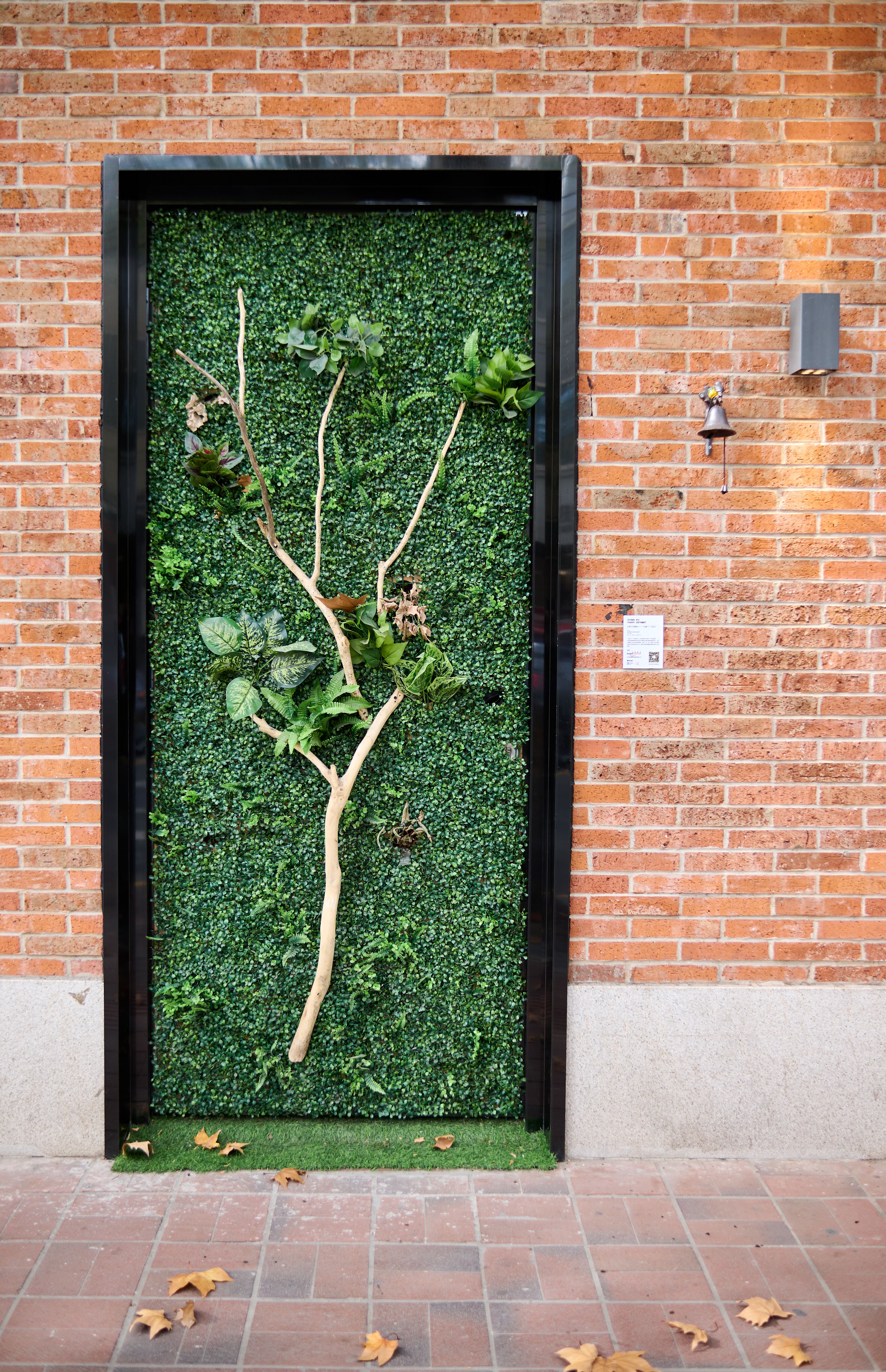 Branch and Leaves in Doorway · Free Stock Photo