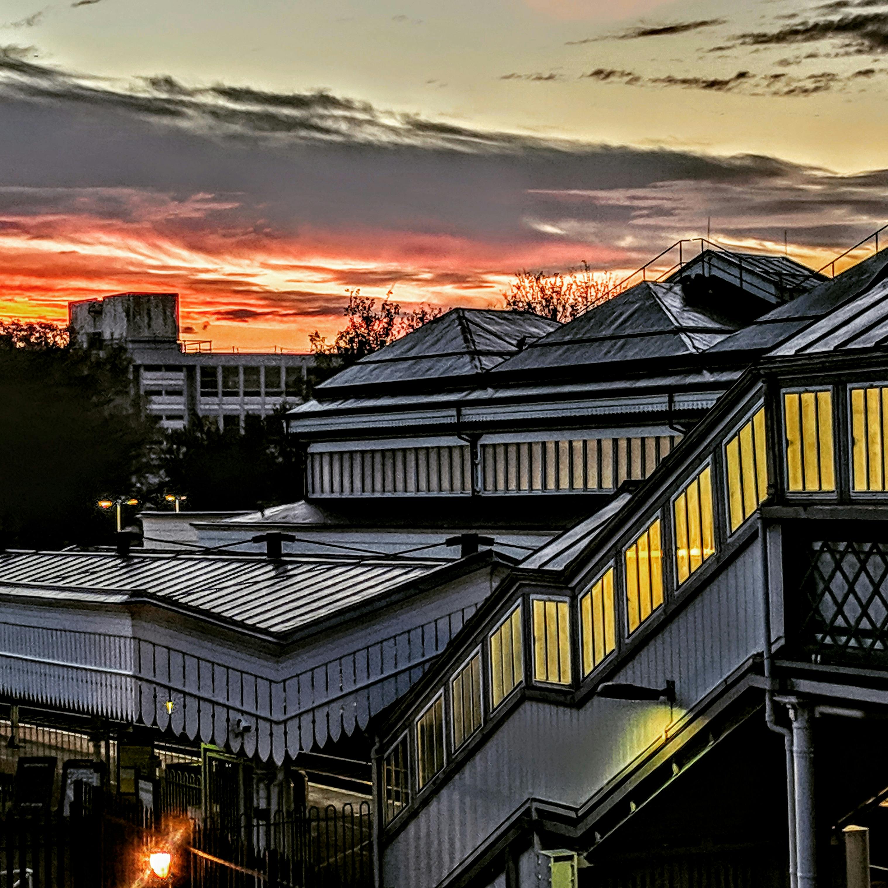 Peter Stewart - Photography