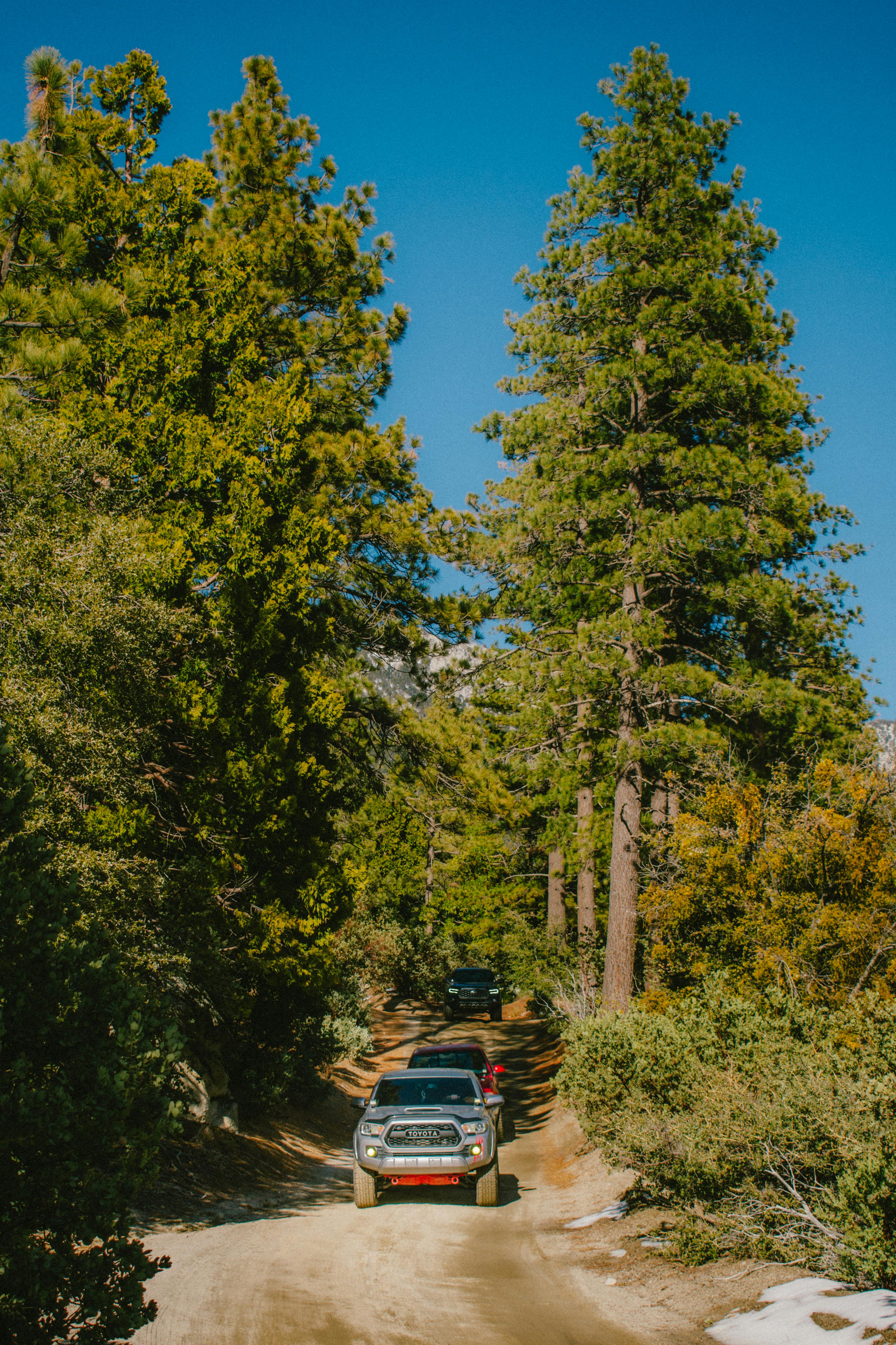 Cars Driving in Forest · Free Stock Photo