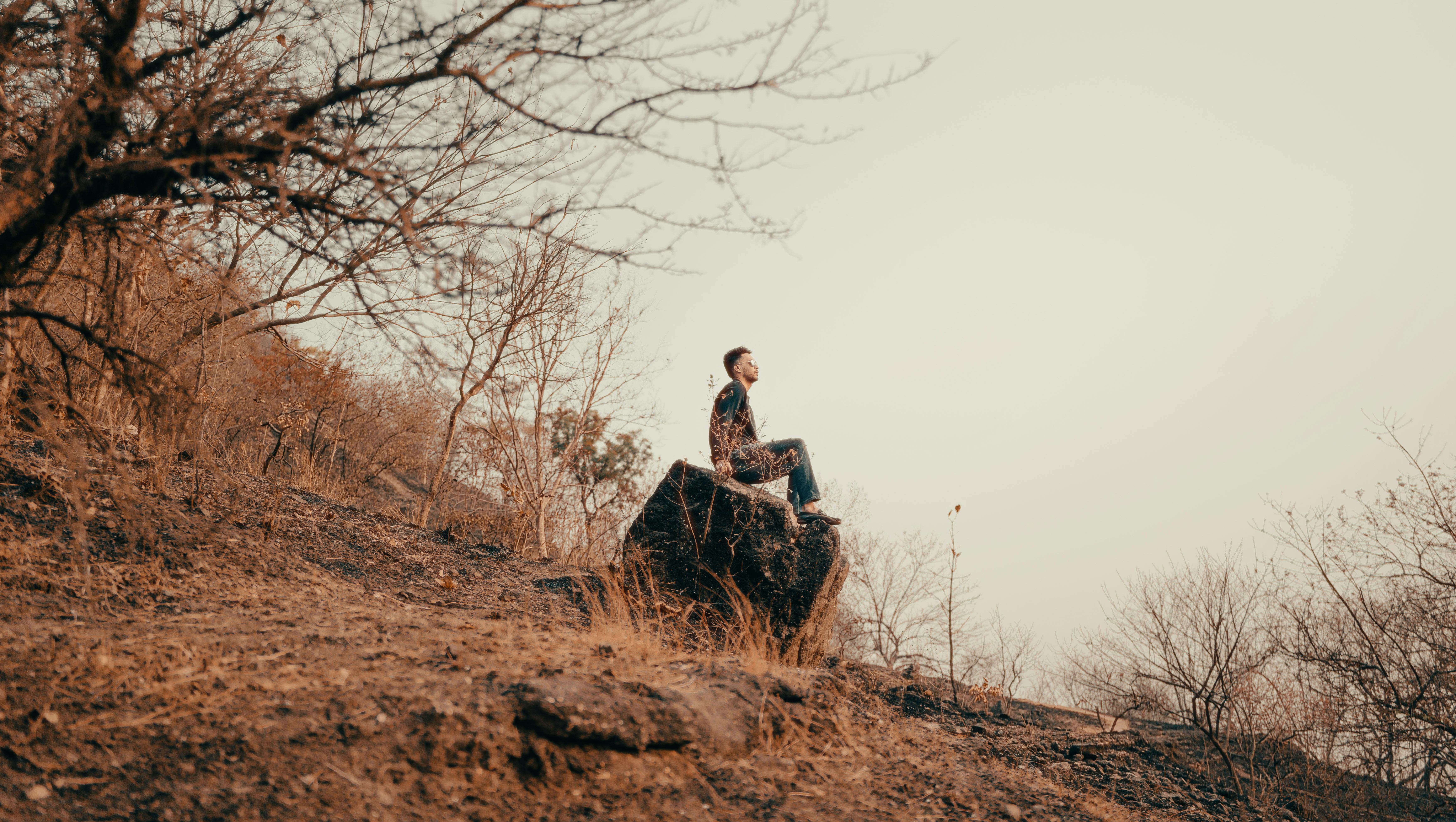 Land Area In India Photos, Download The BEST Free Land Area In India ...