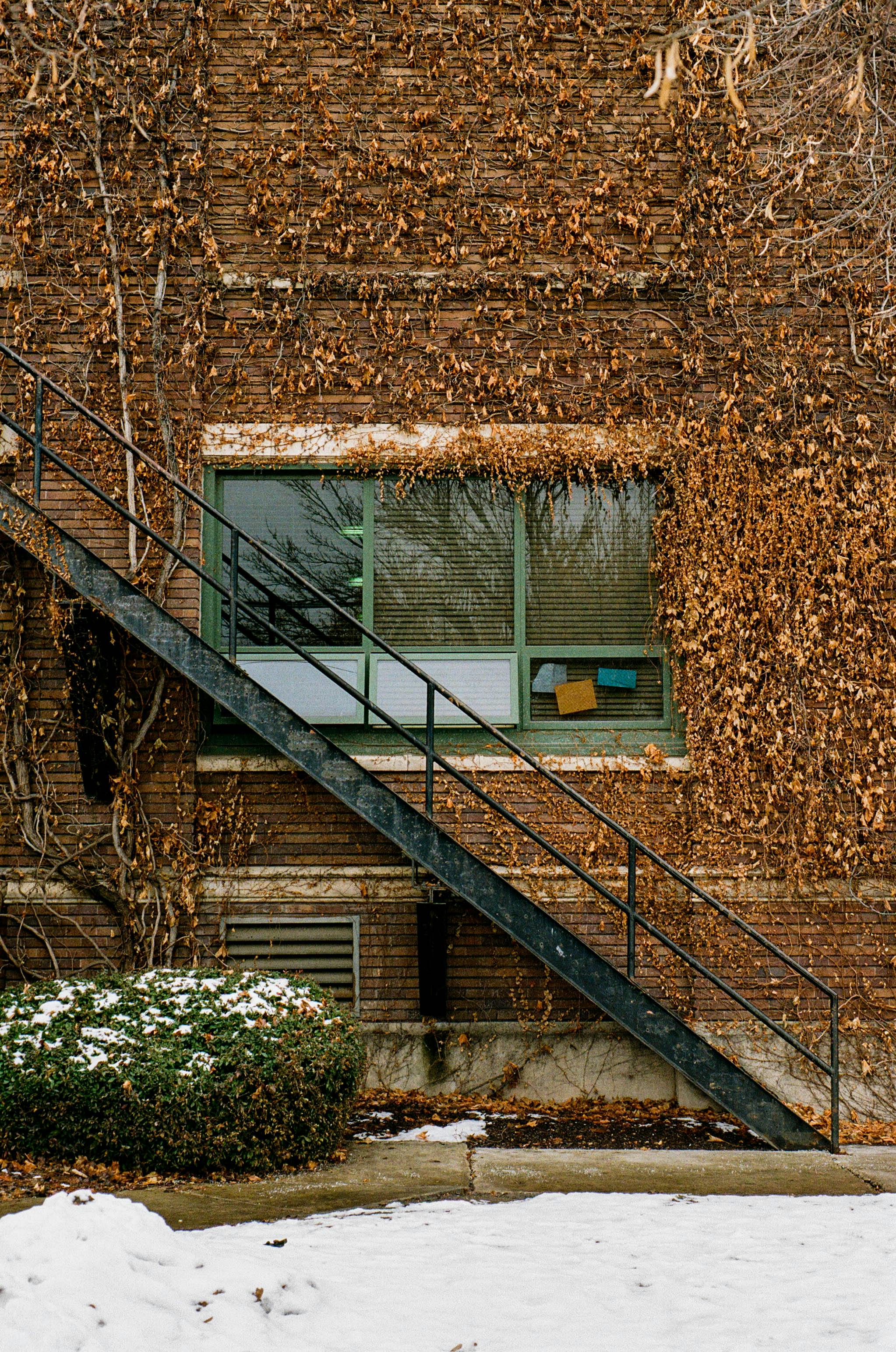 Blue Metal Ladder · Free Stock Photo