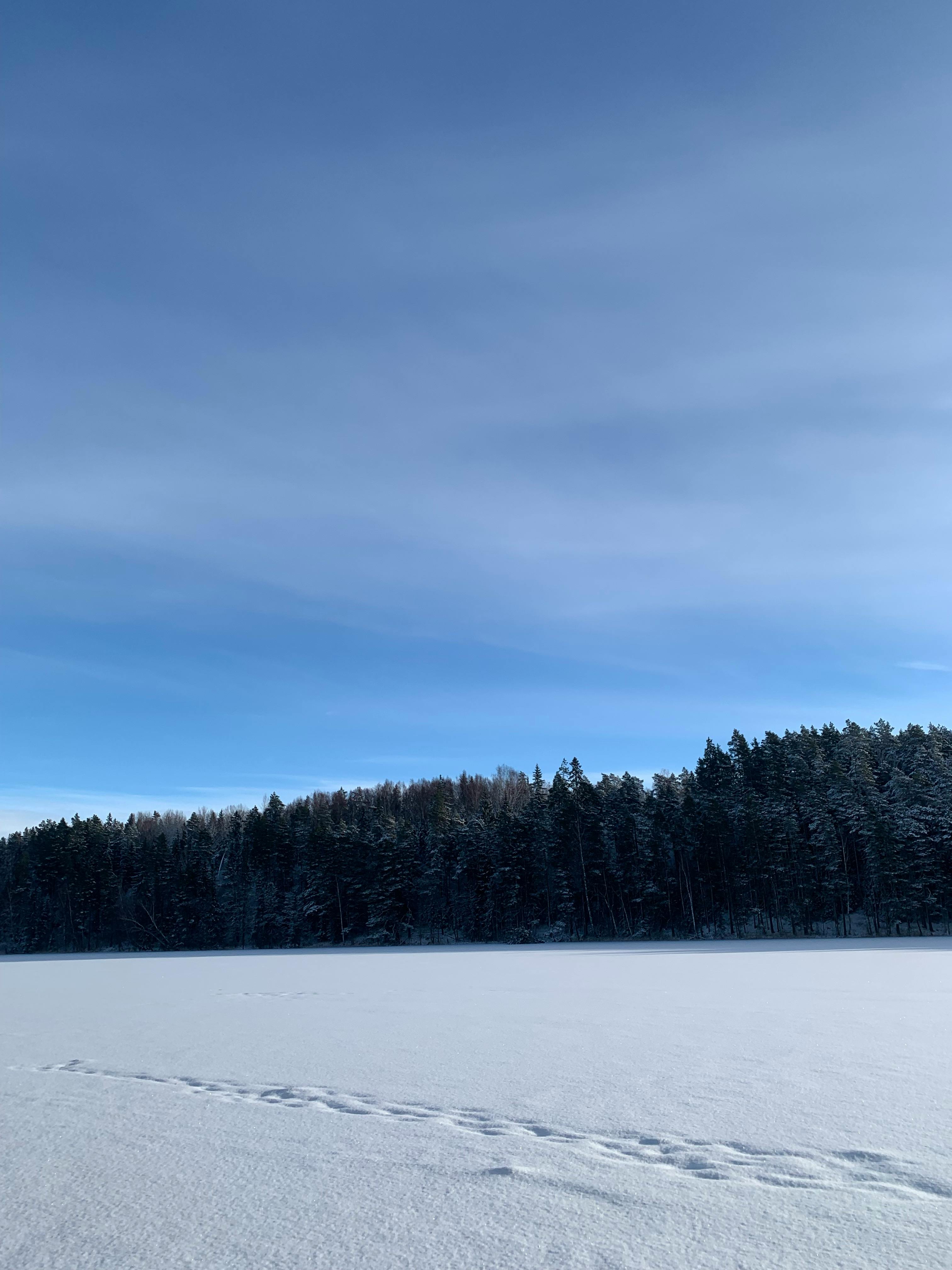 Scorpion Footprints Photos, Download The BEST Free Scorpion Footprints ...