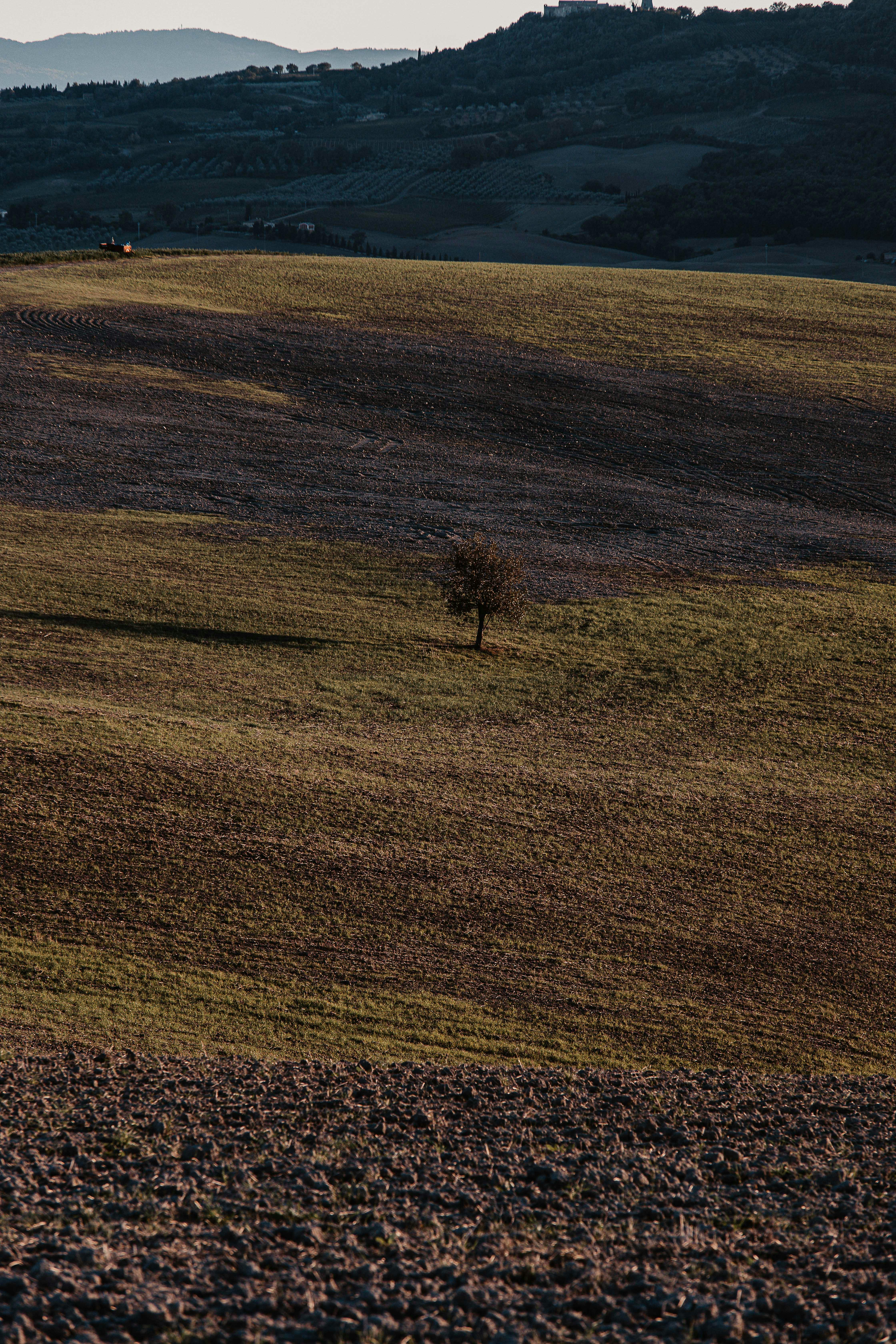 Aerial View of a Grass Field · Free Stock Photo