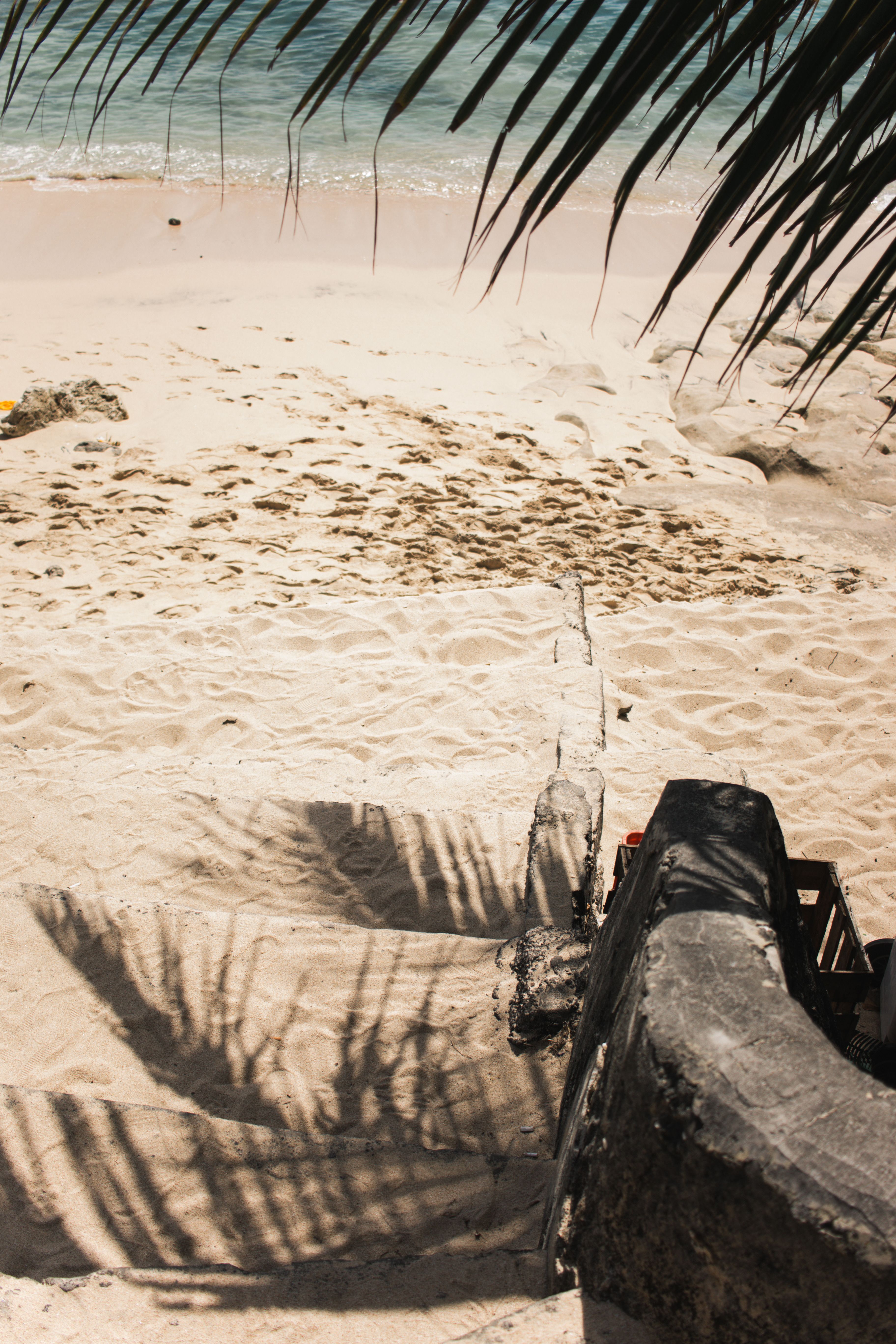 Palm Tree Shadow on Sand Beach · Free Stock Photo
