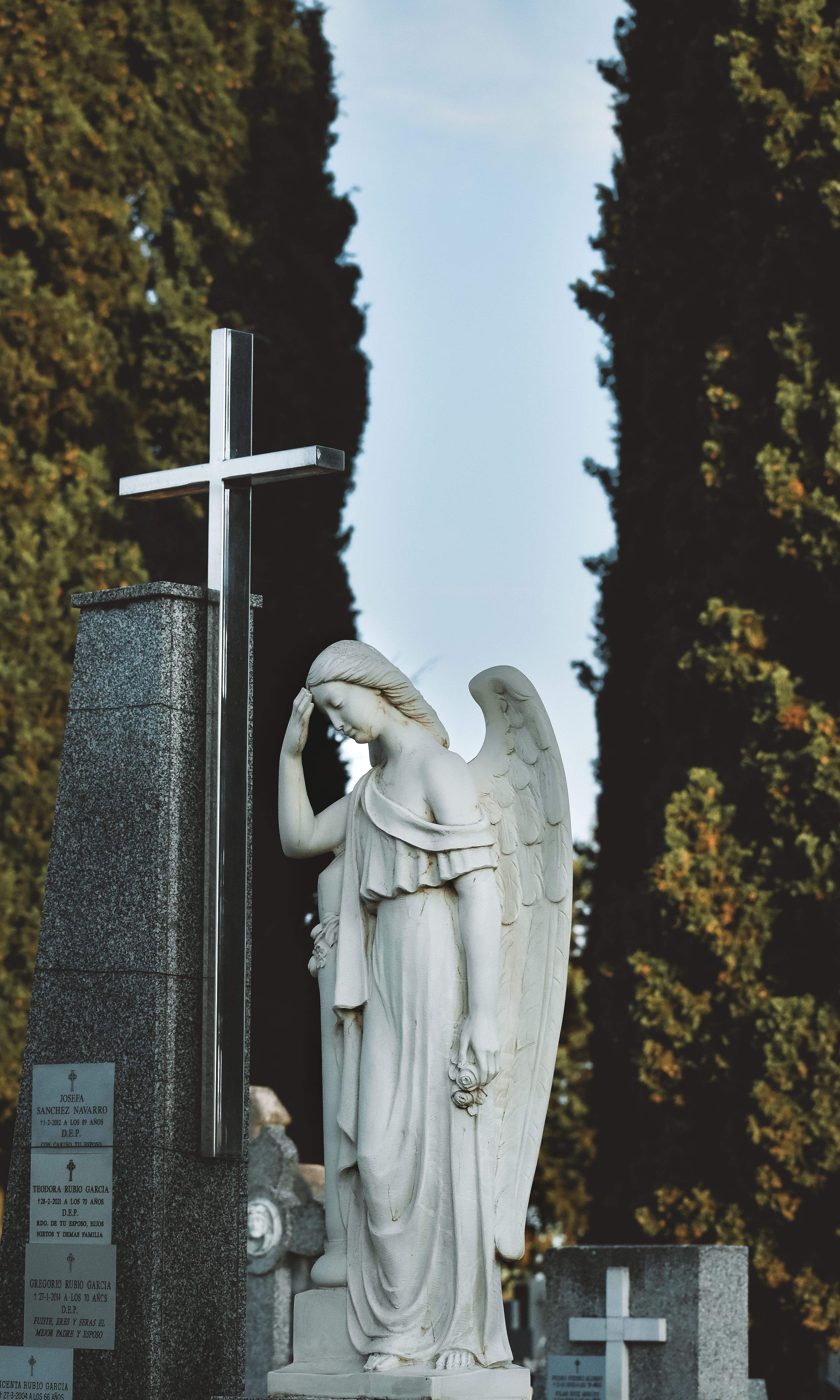 Angel Sculpture in Cemetery · Free Stock Photo