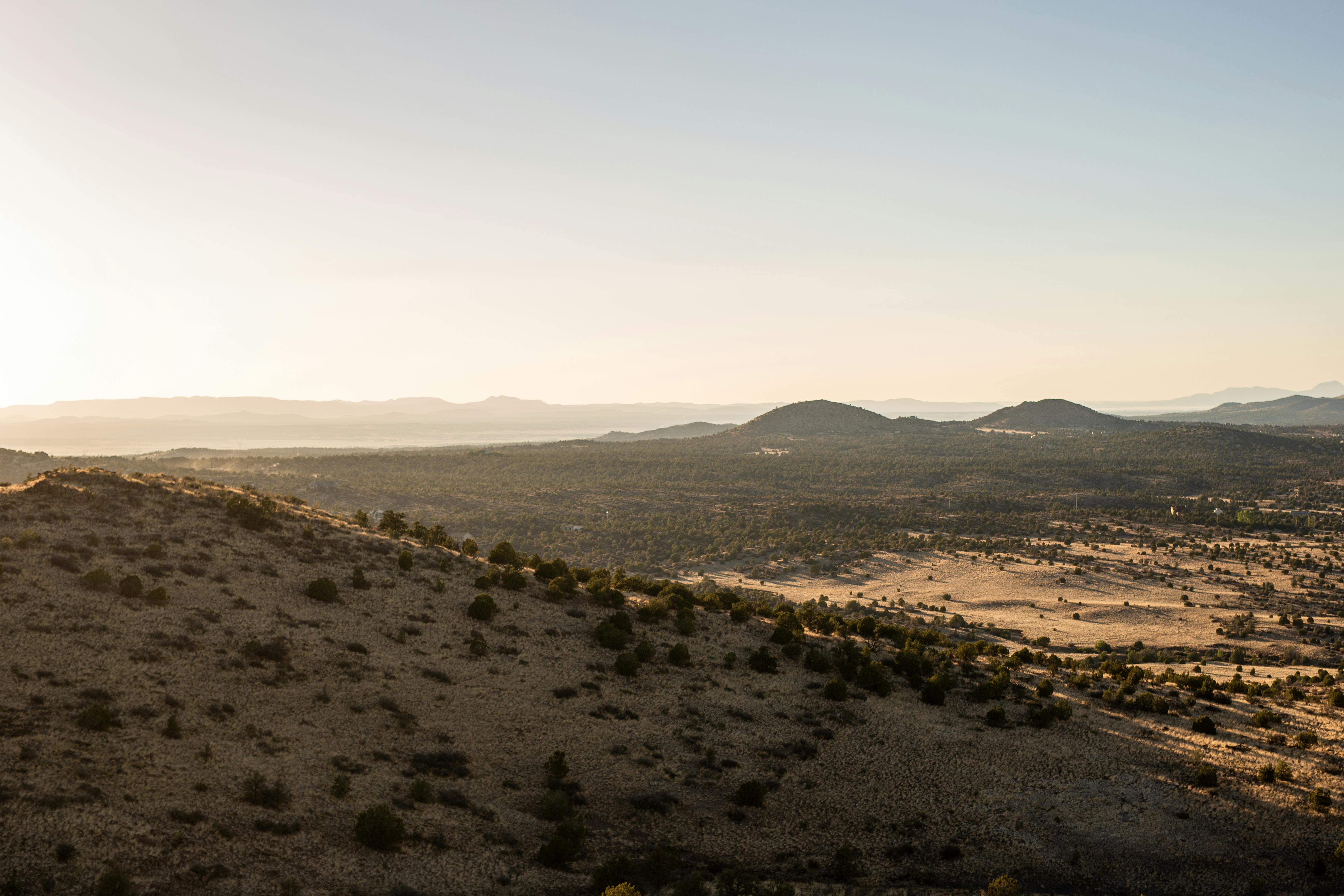 Sunlight over Trees on Plains · Free Stock Photo