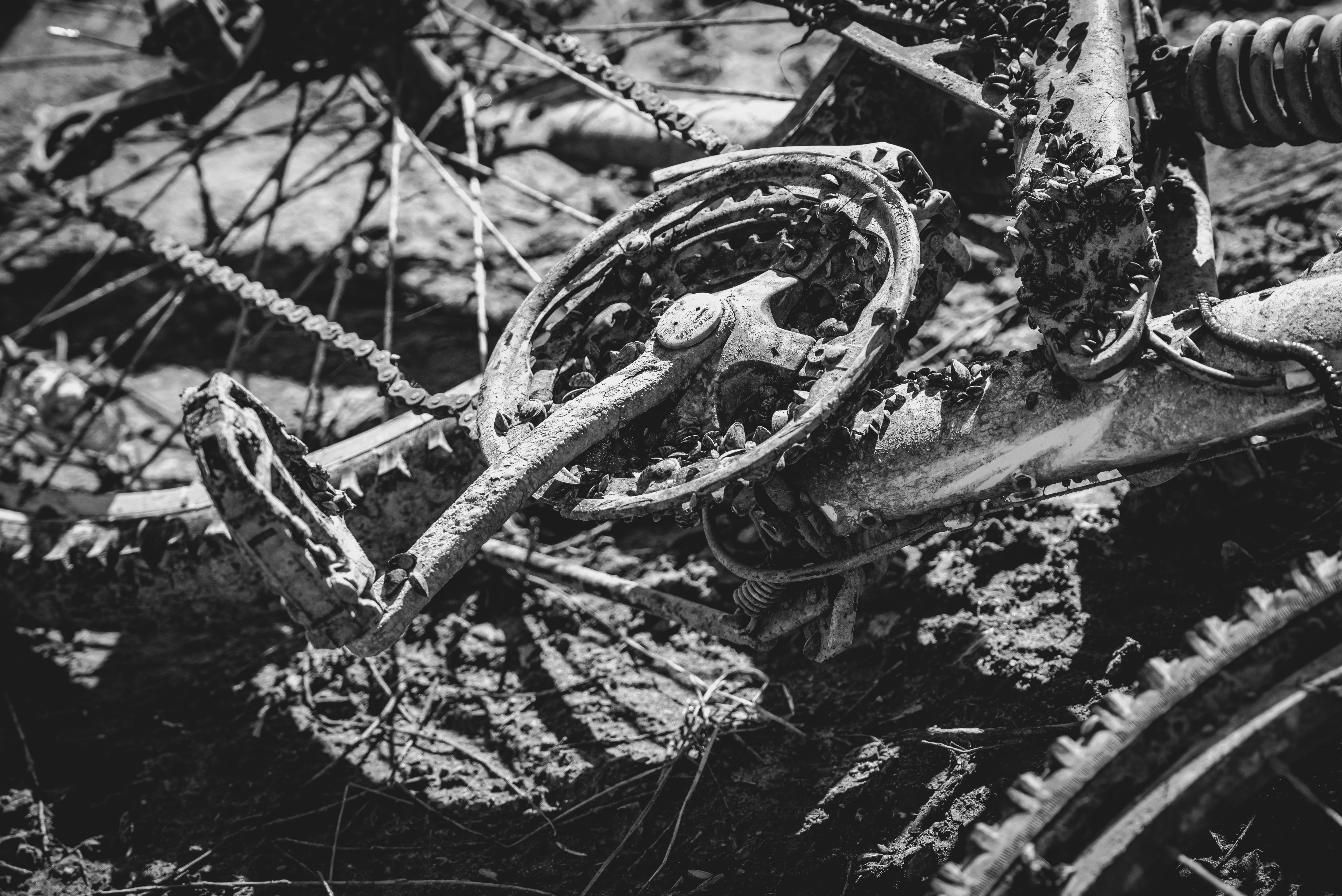 Bicycle Lying Down on Ground · Free Stock Photo