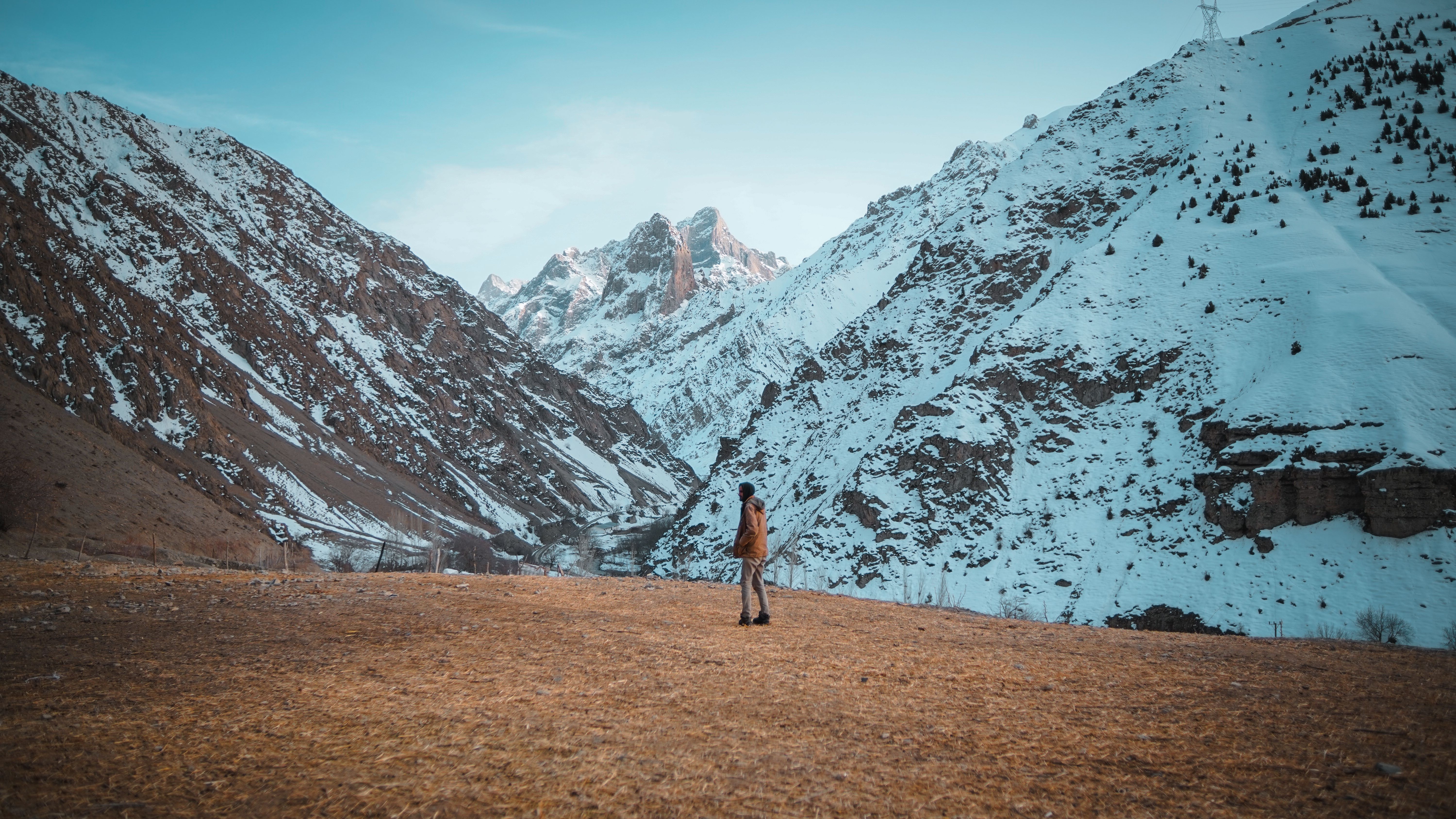 Man Standing on Meadow in Mountains · Free Stock Photo