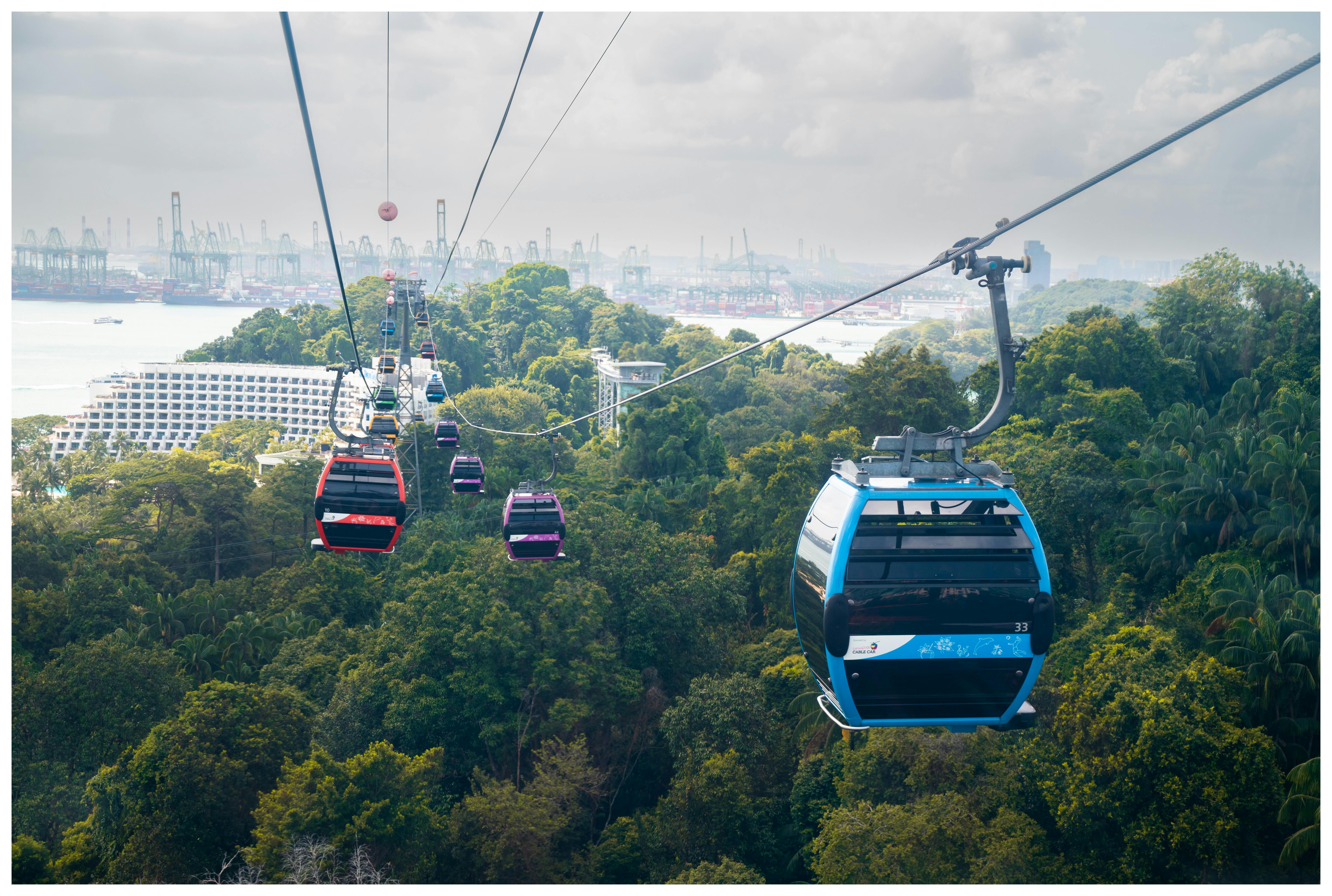 Cable Cars over Trees in City · Free Stock Photo