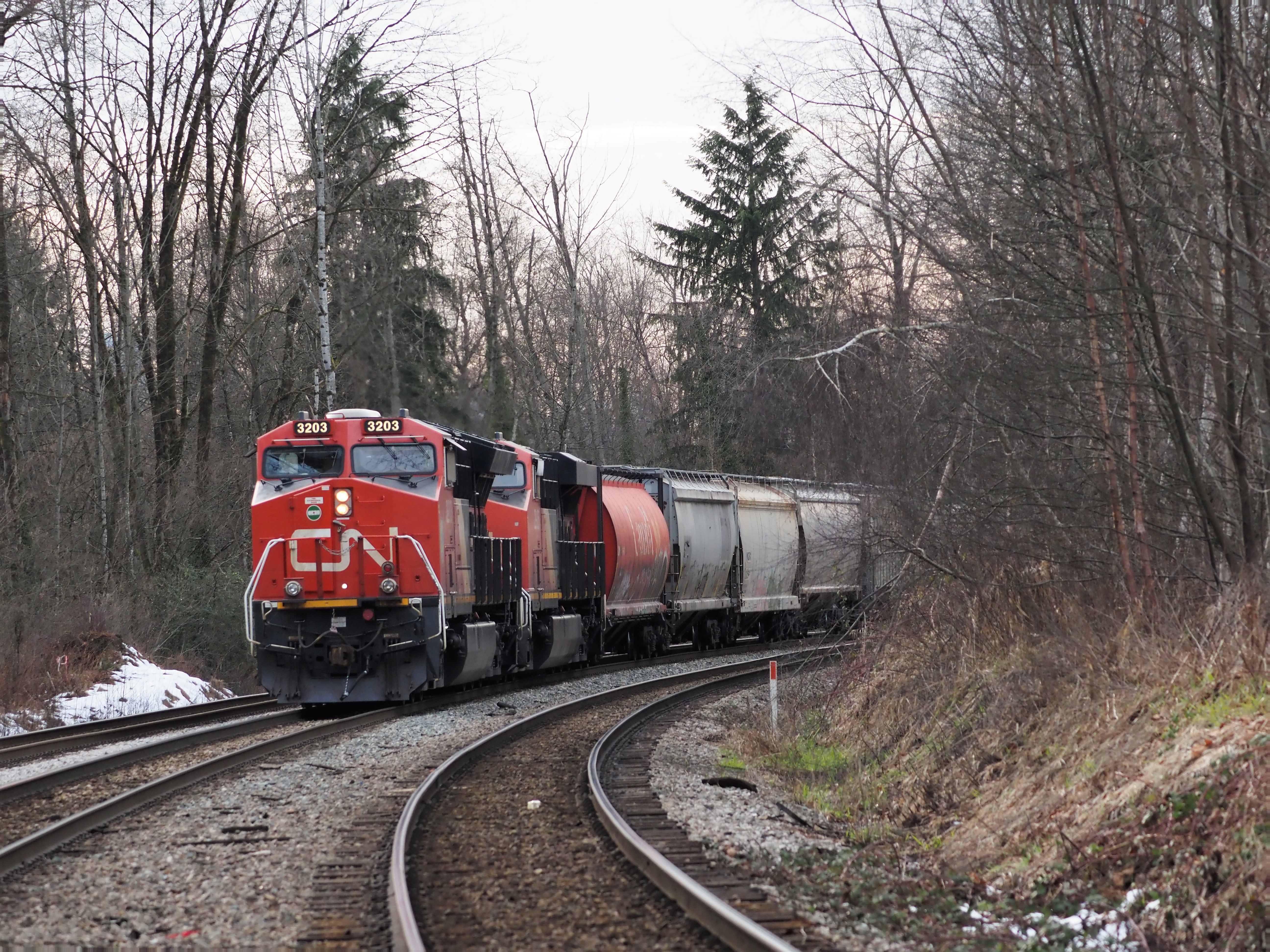 Freight Train Going Through the Forest · Free Stock Photo