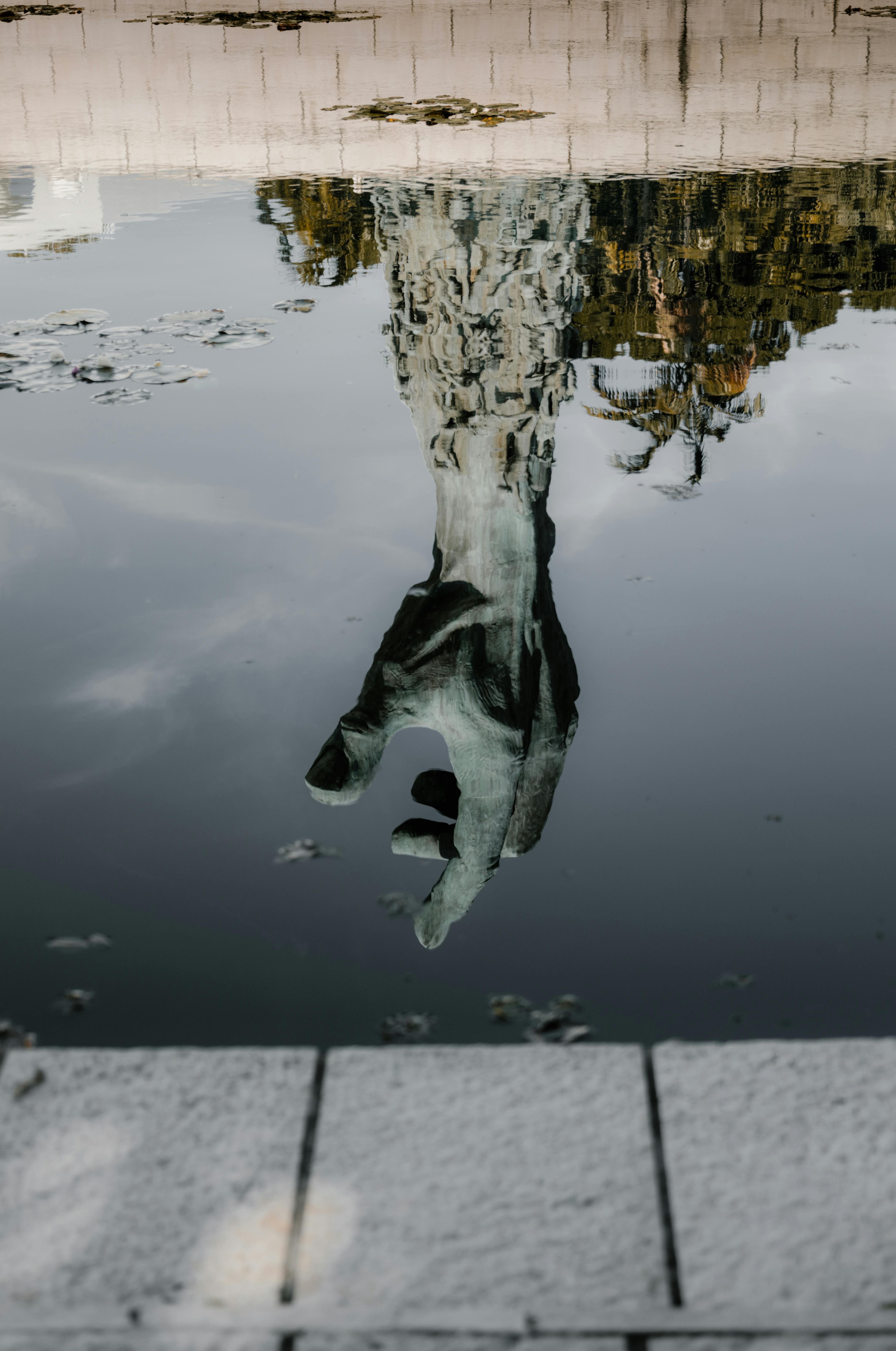 Hand Statue Reflection in Pond at Miami Beach · Free Stock Photo