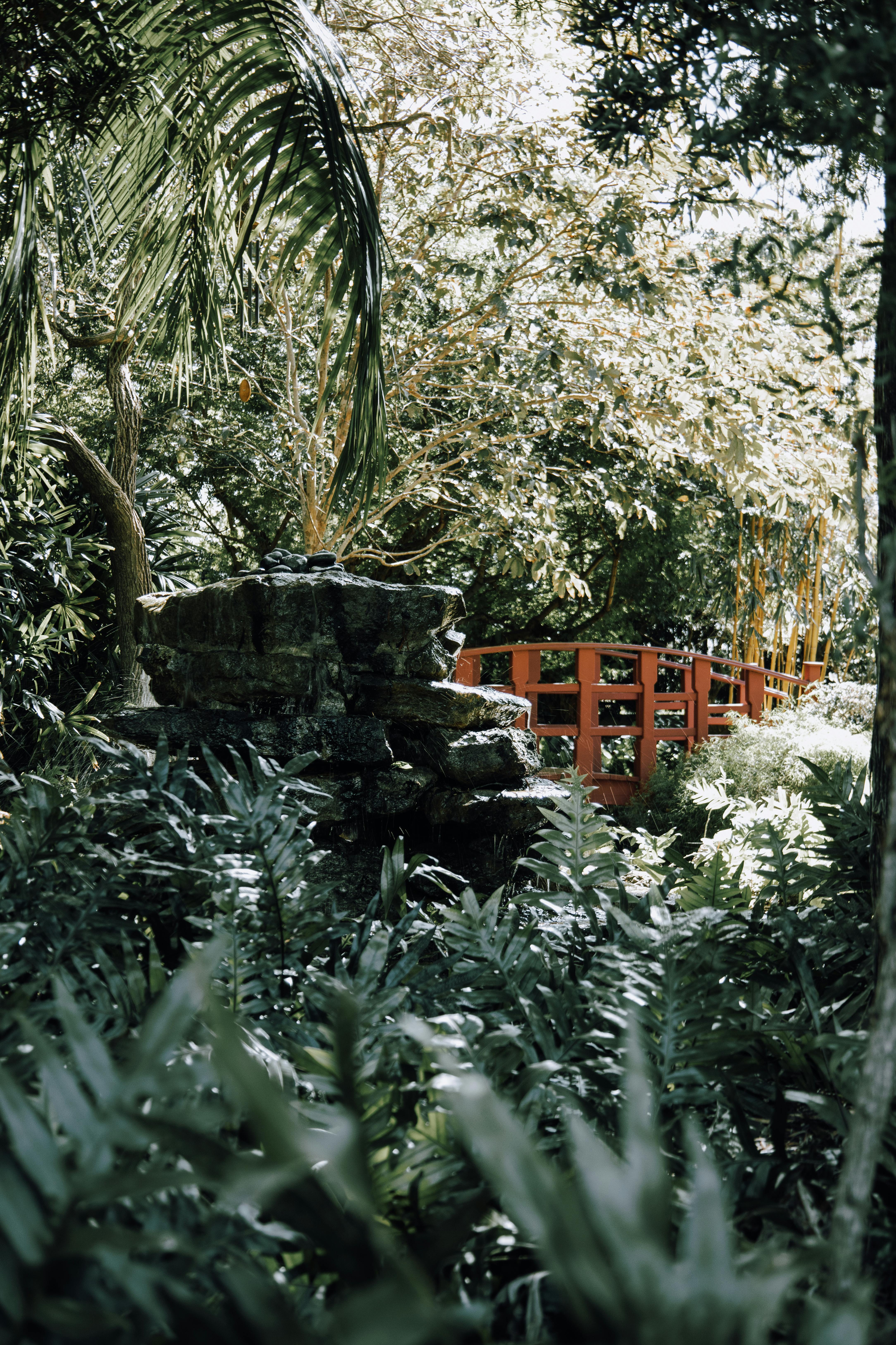 A red gate in the middle of a jungle · Free Stock Photo