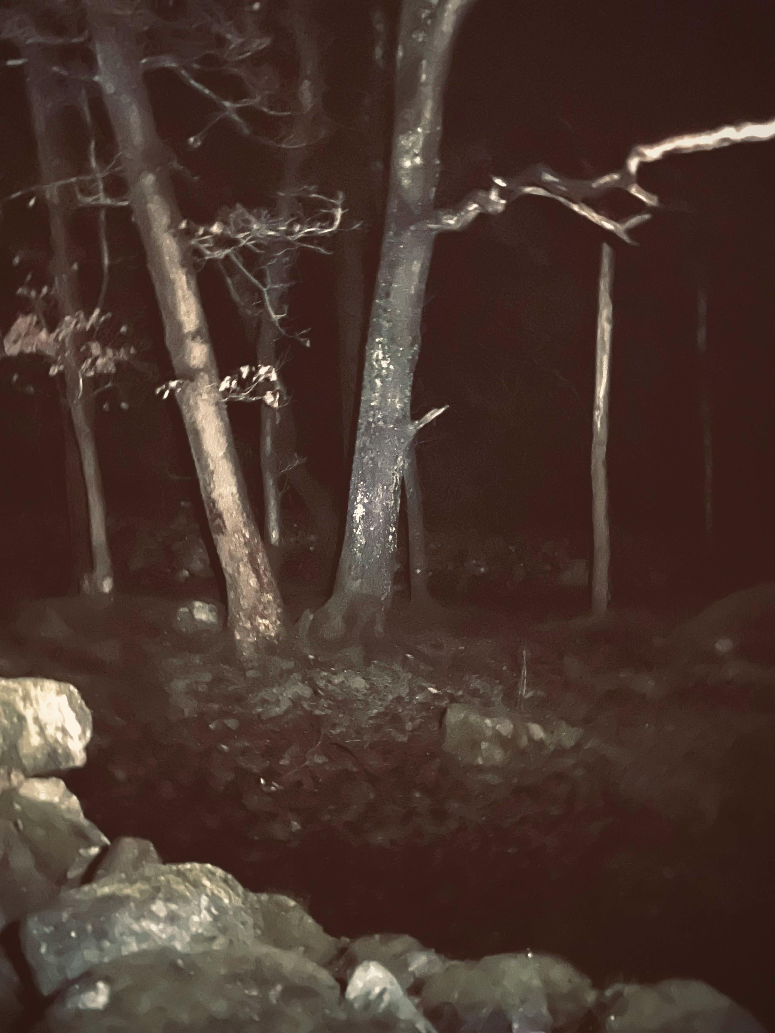 Tuesday Temptation - Photography