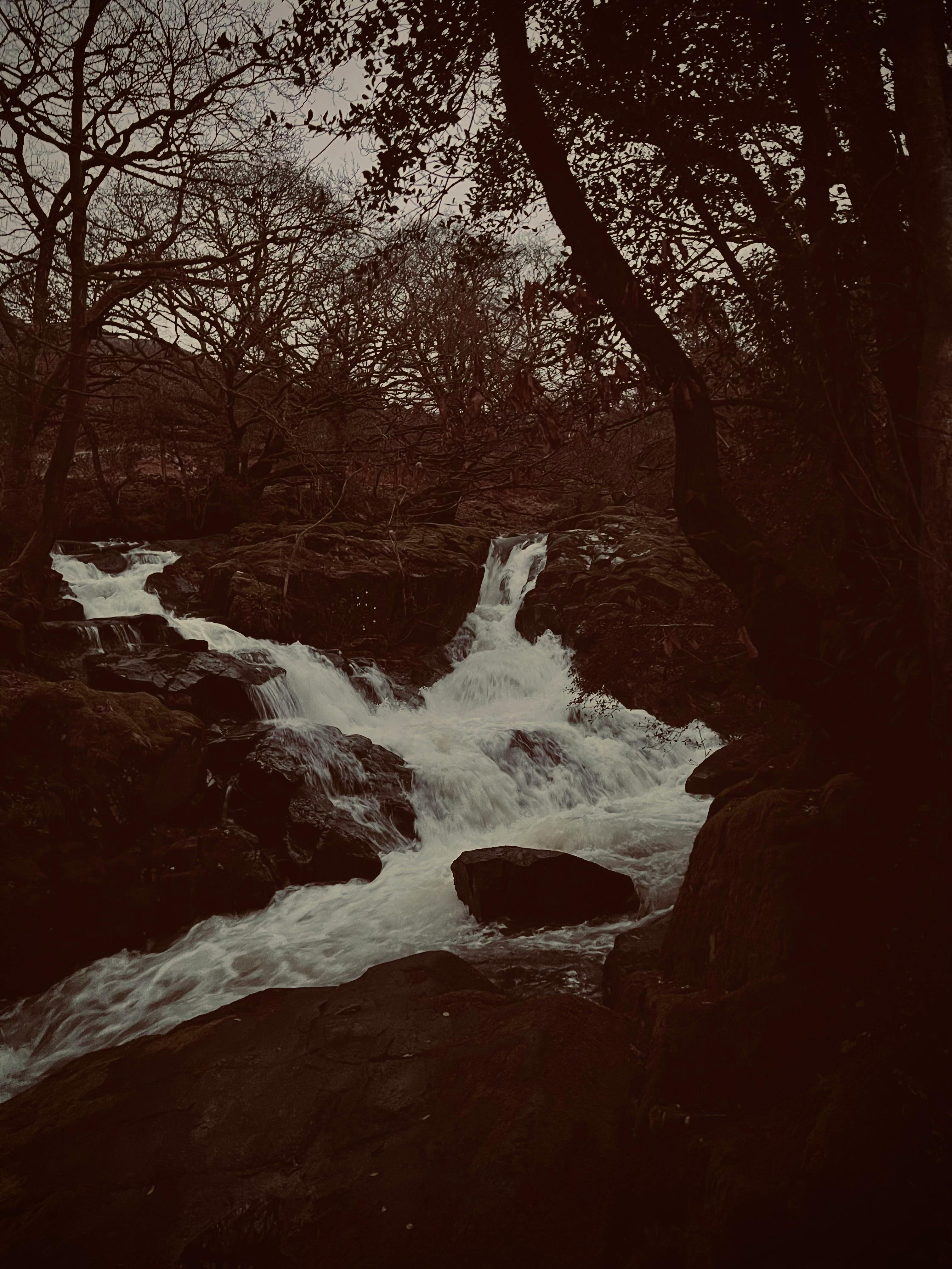 Tuesday Temptation - Photography