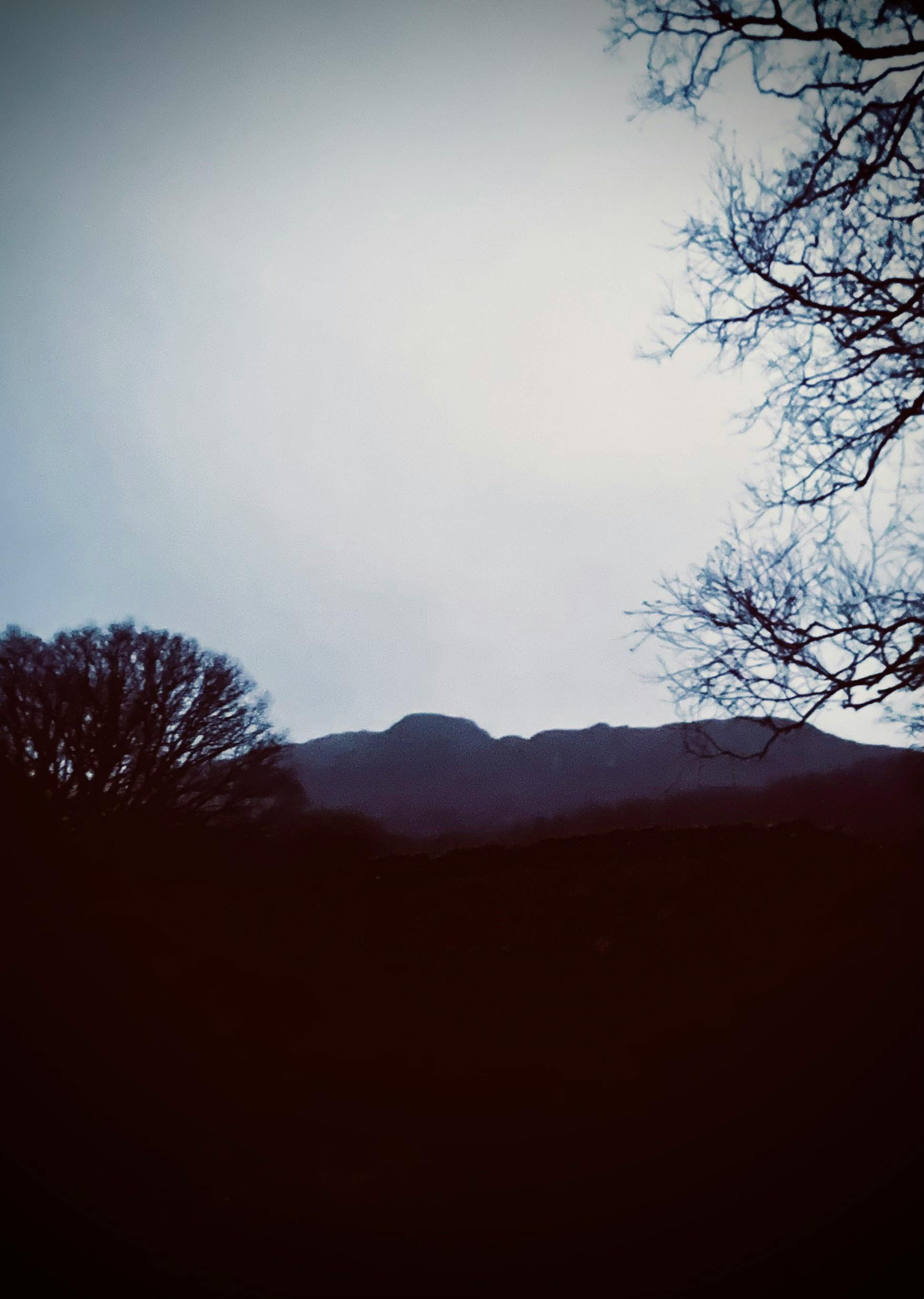 Tuesday Temptation - Photography