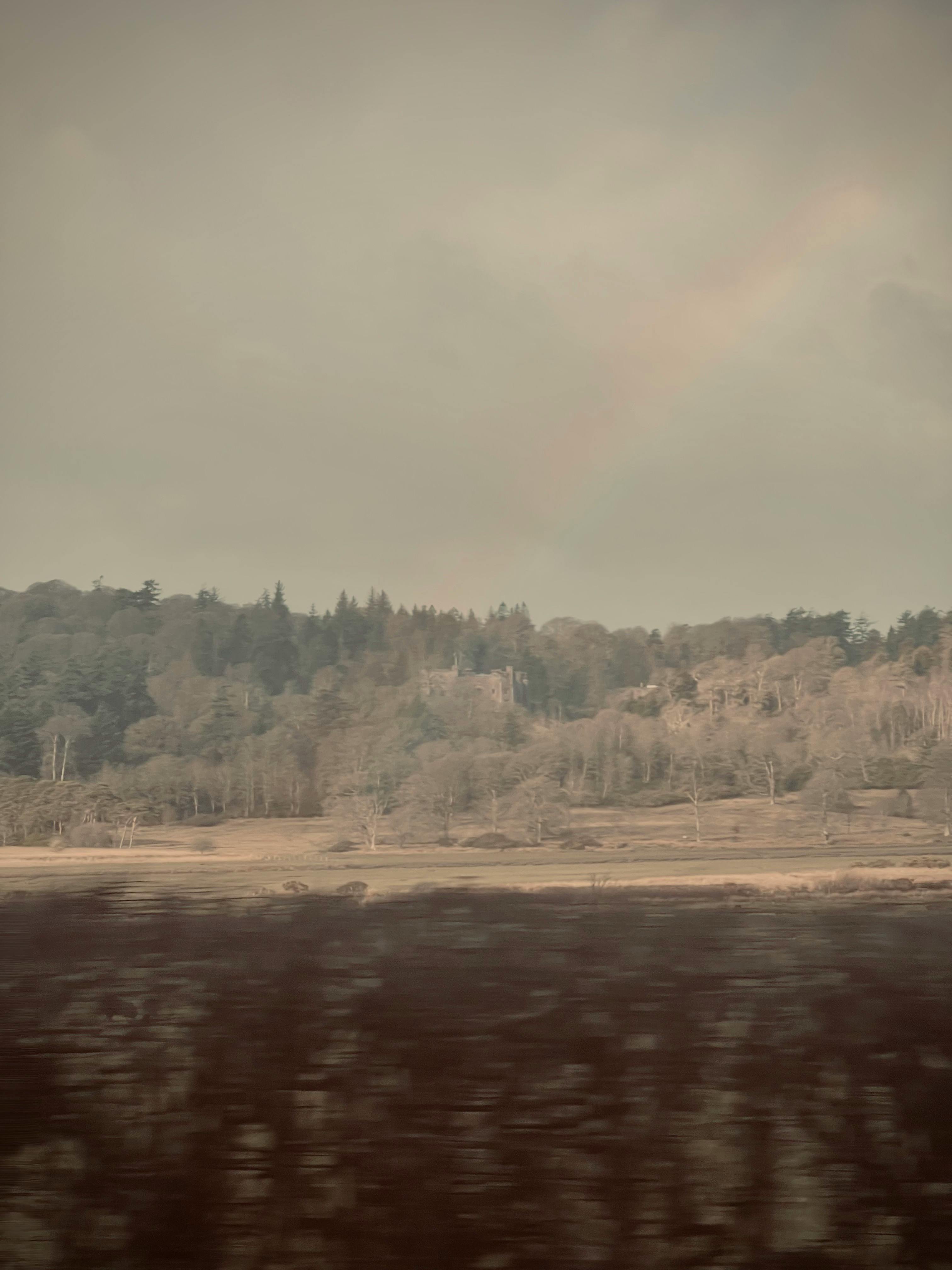 Tuesday Temptation - Photography