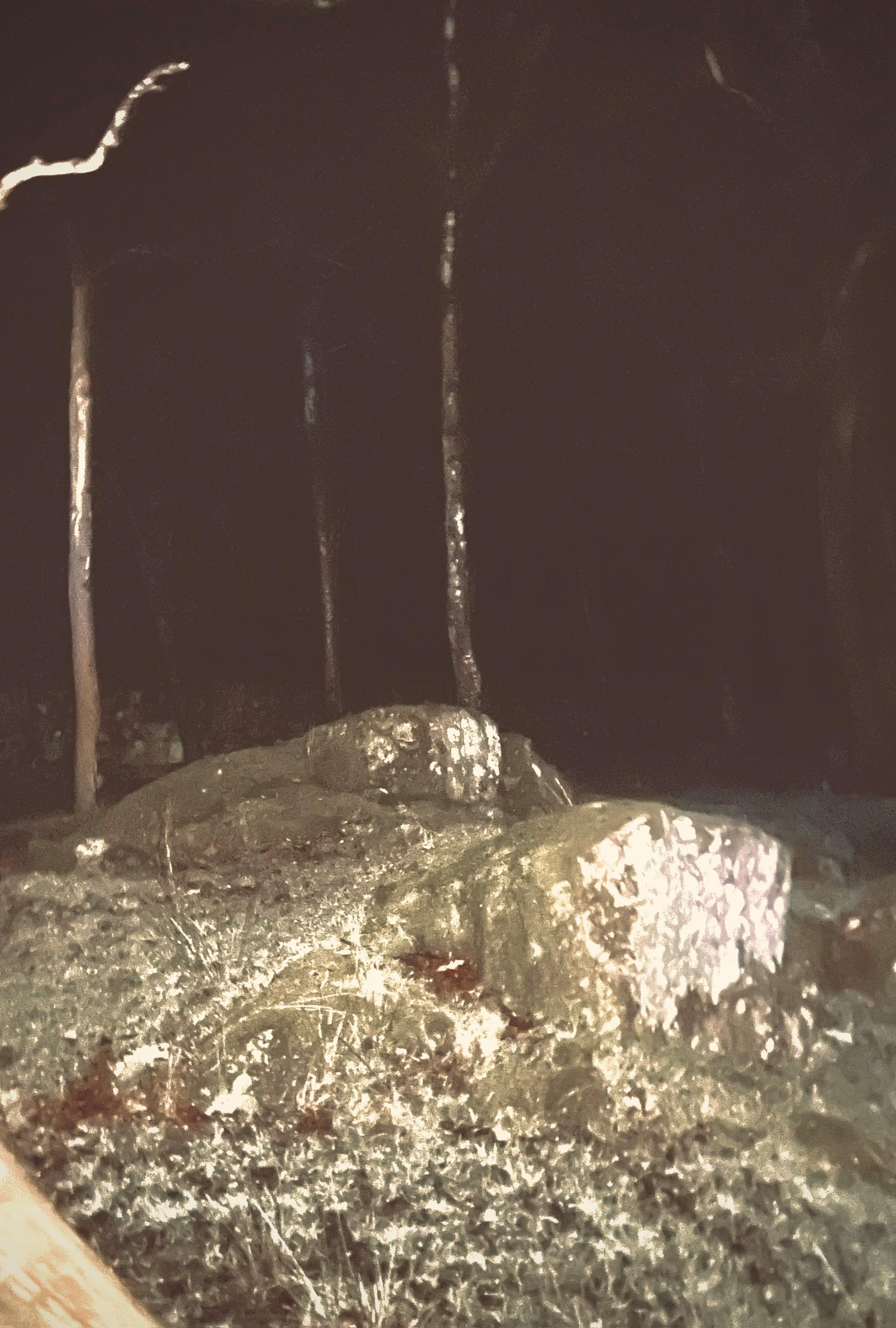 Tuesday Temptation - Photography