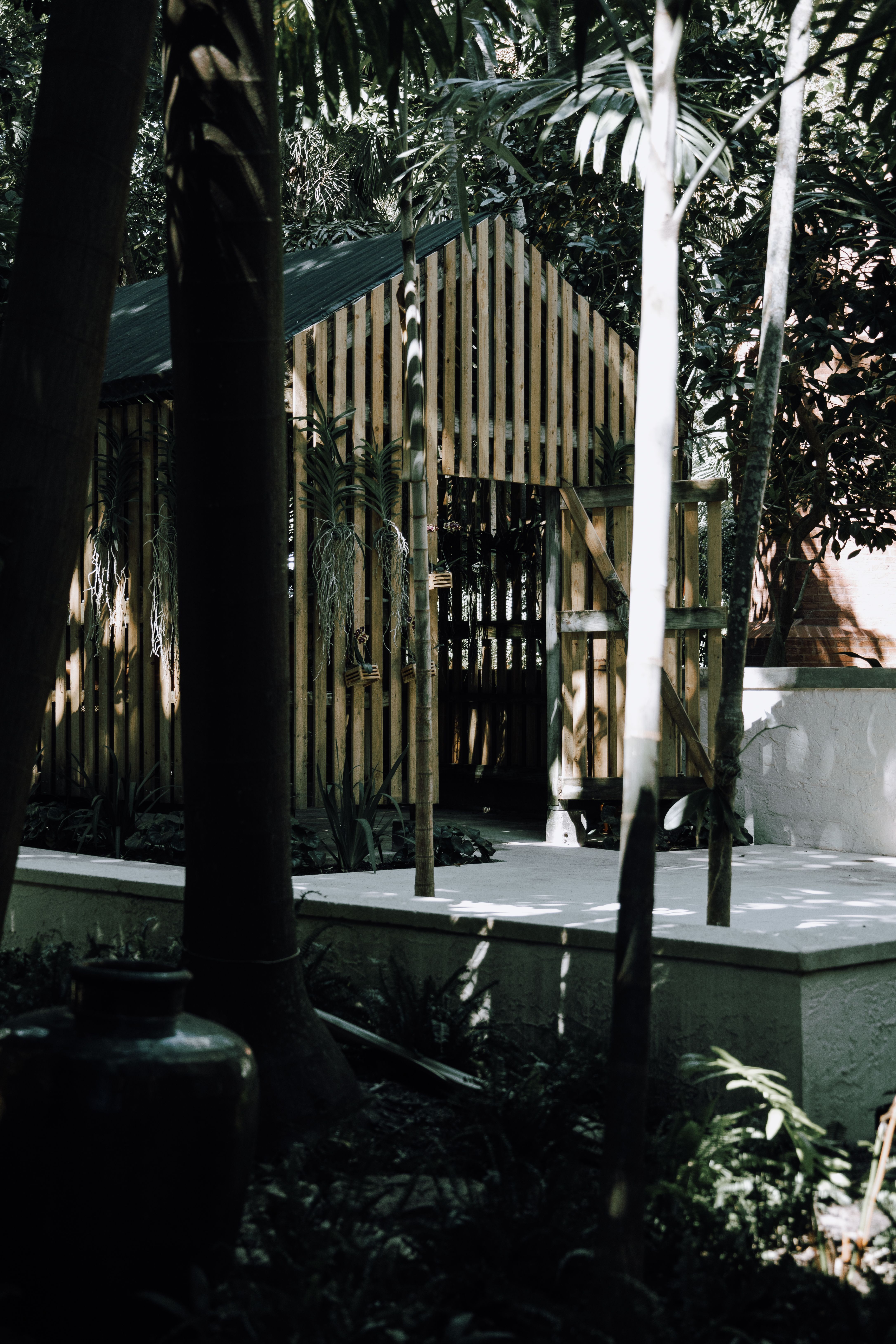 Wooden Shed in Garden with Palm Trees · Free Stock Photo