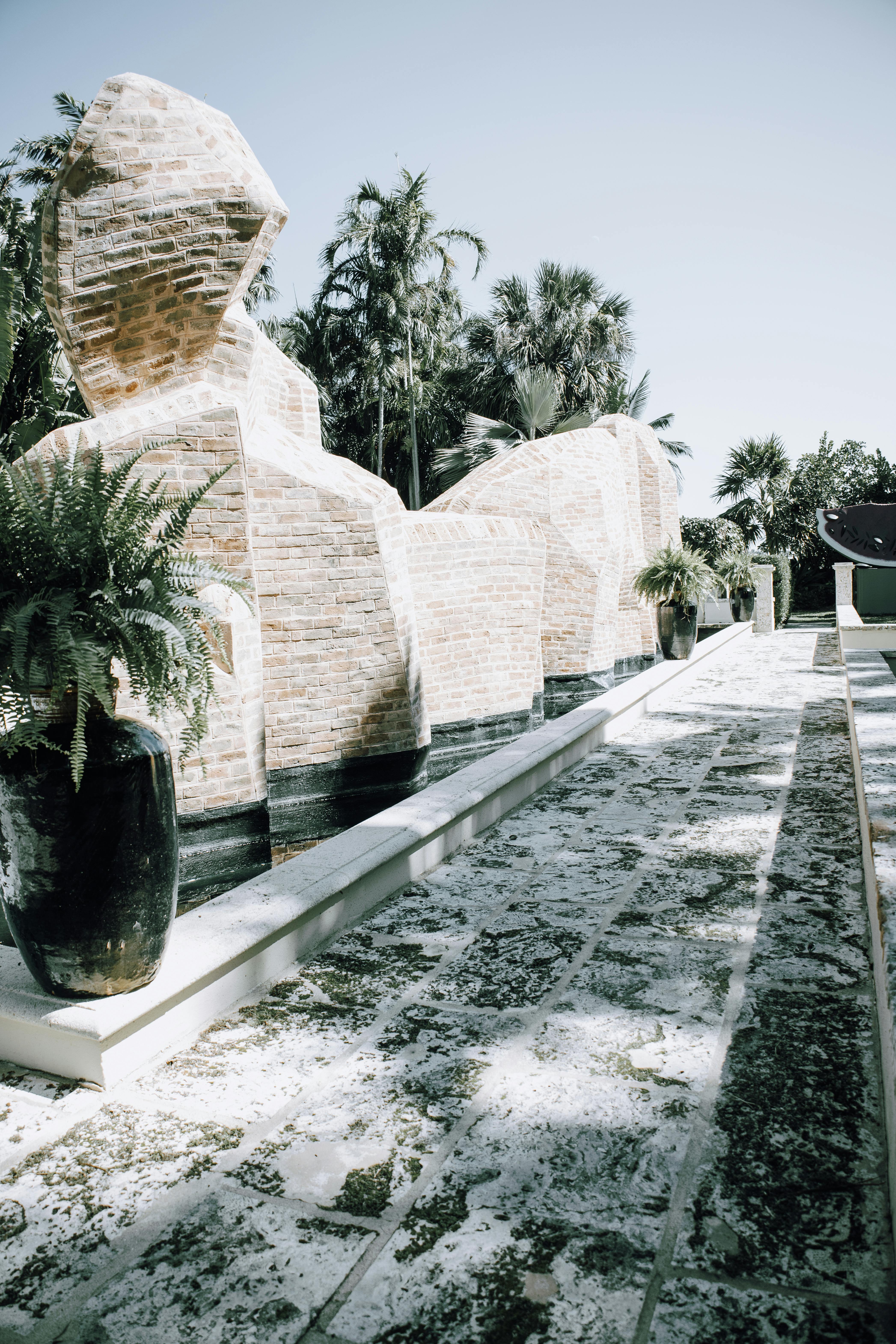 Alley in Park in Key West · Free Stock Photo
