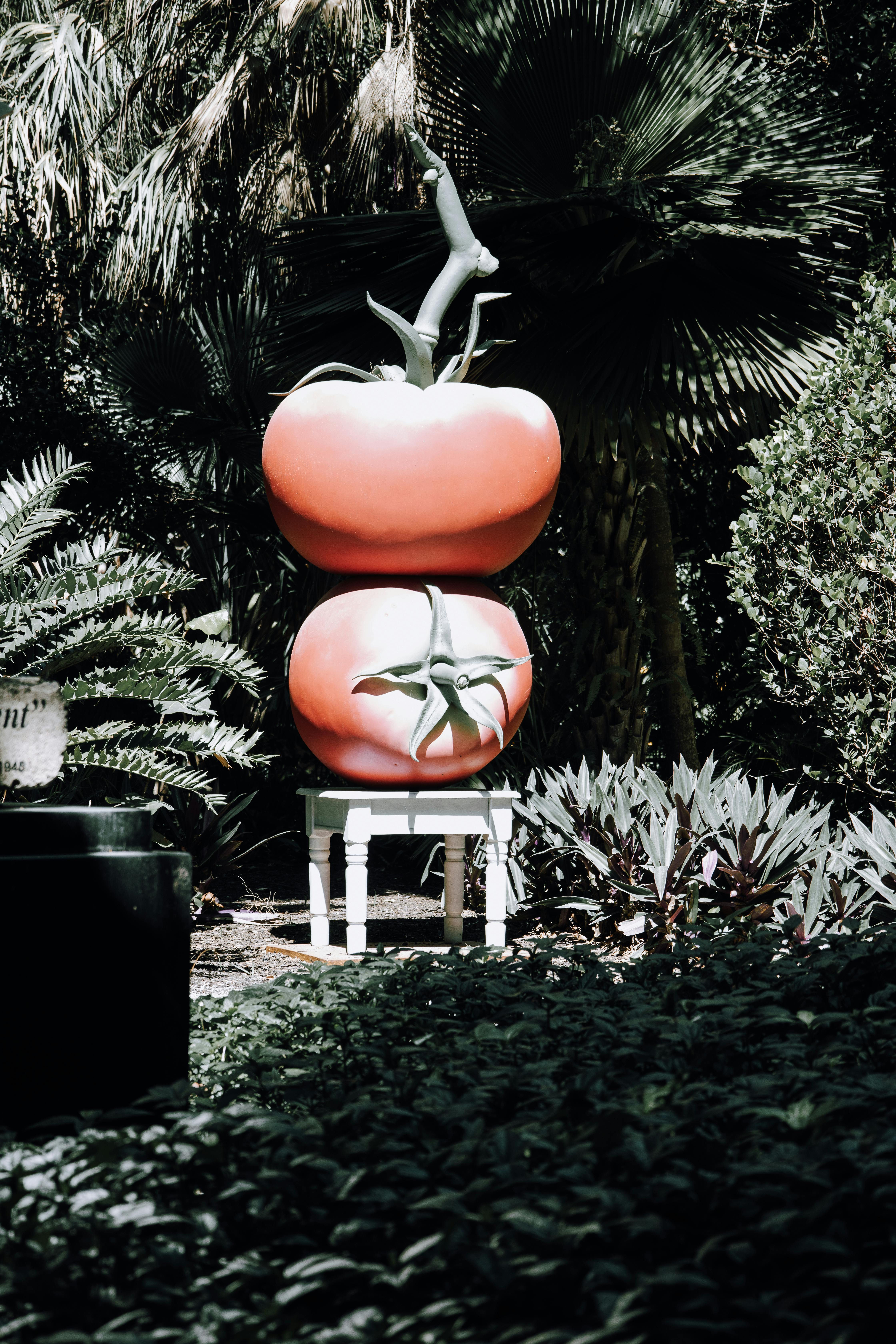 Statue of Tomatoes in Park · Free Stock Photo