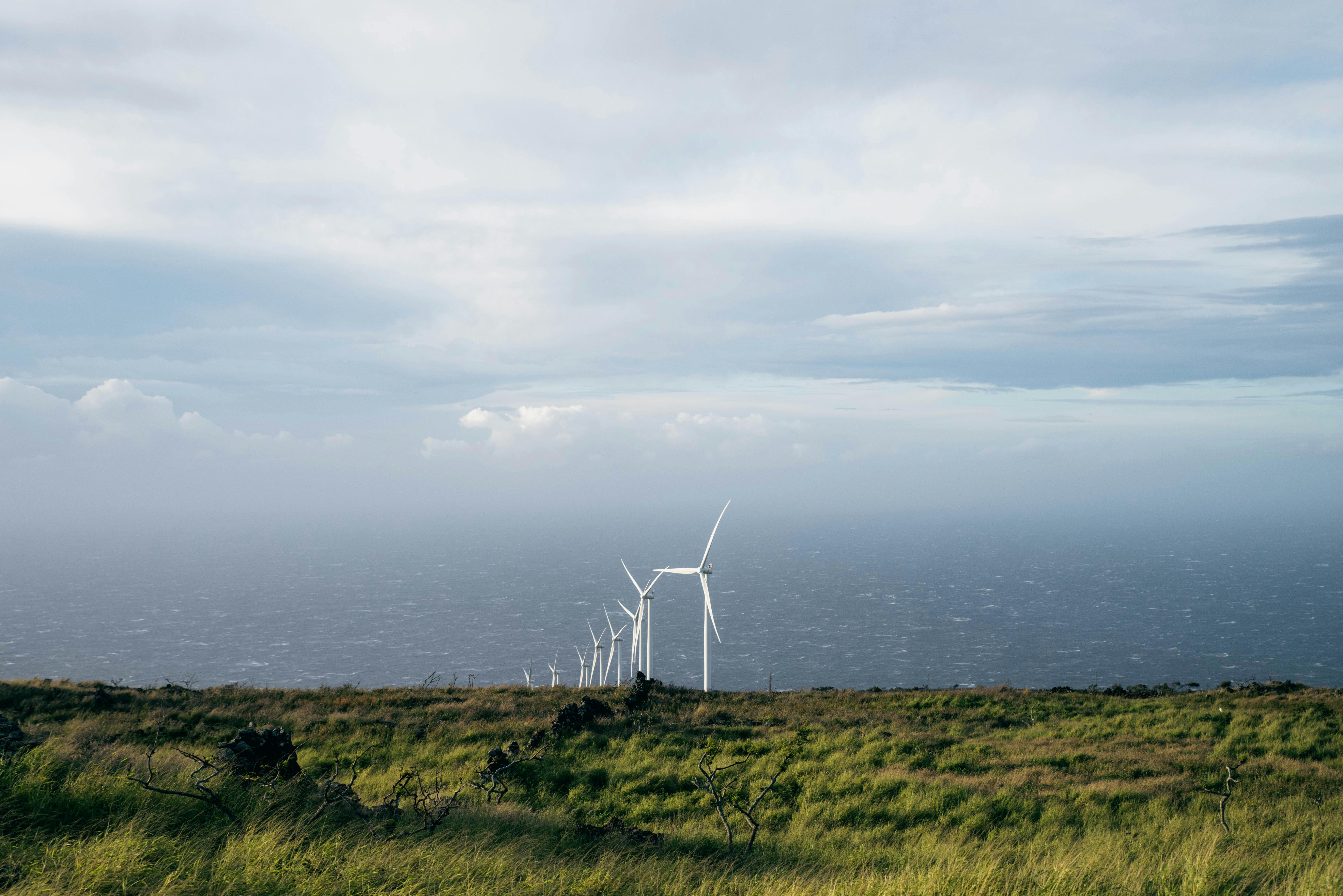 White Windmills · Free Stock Photo