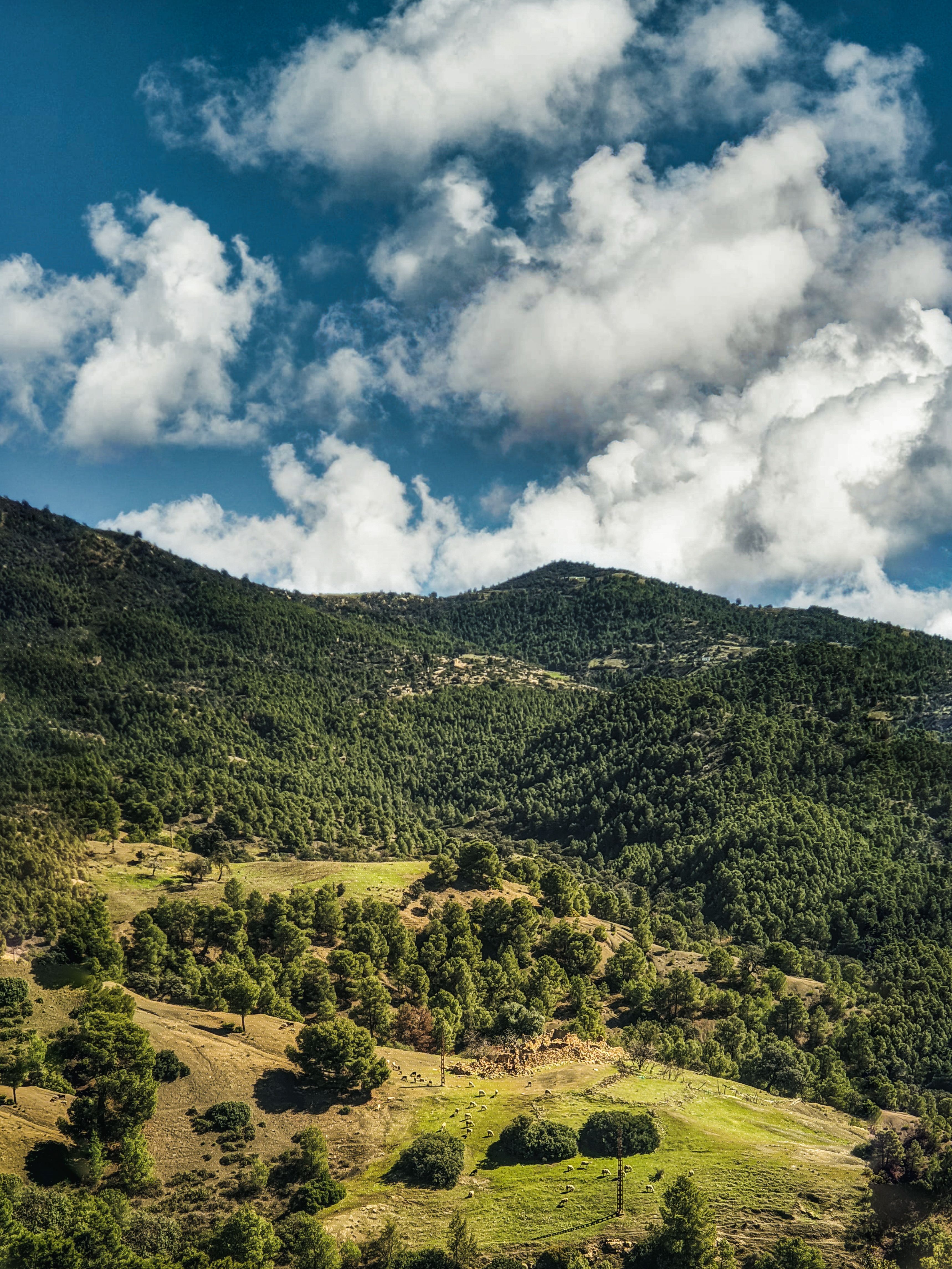 A view of a green valley with trees and clouds · Free Stock Photo