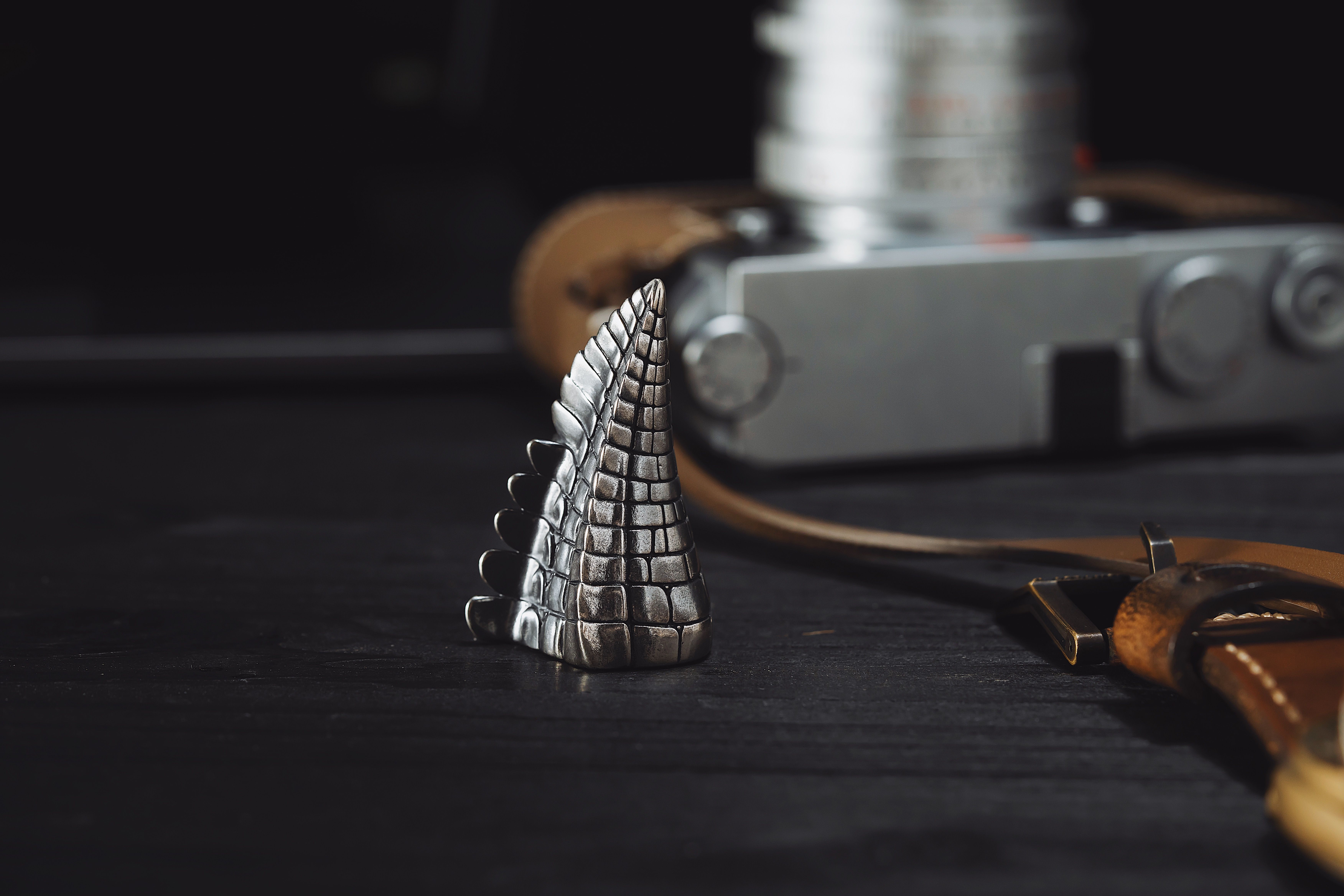 Spike next to Camera · Free Stock Photo