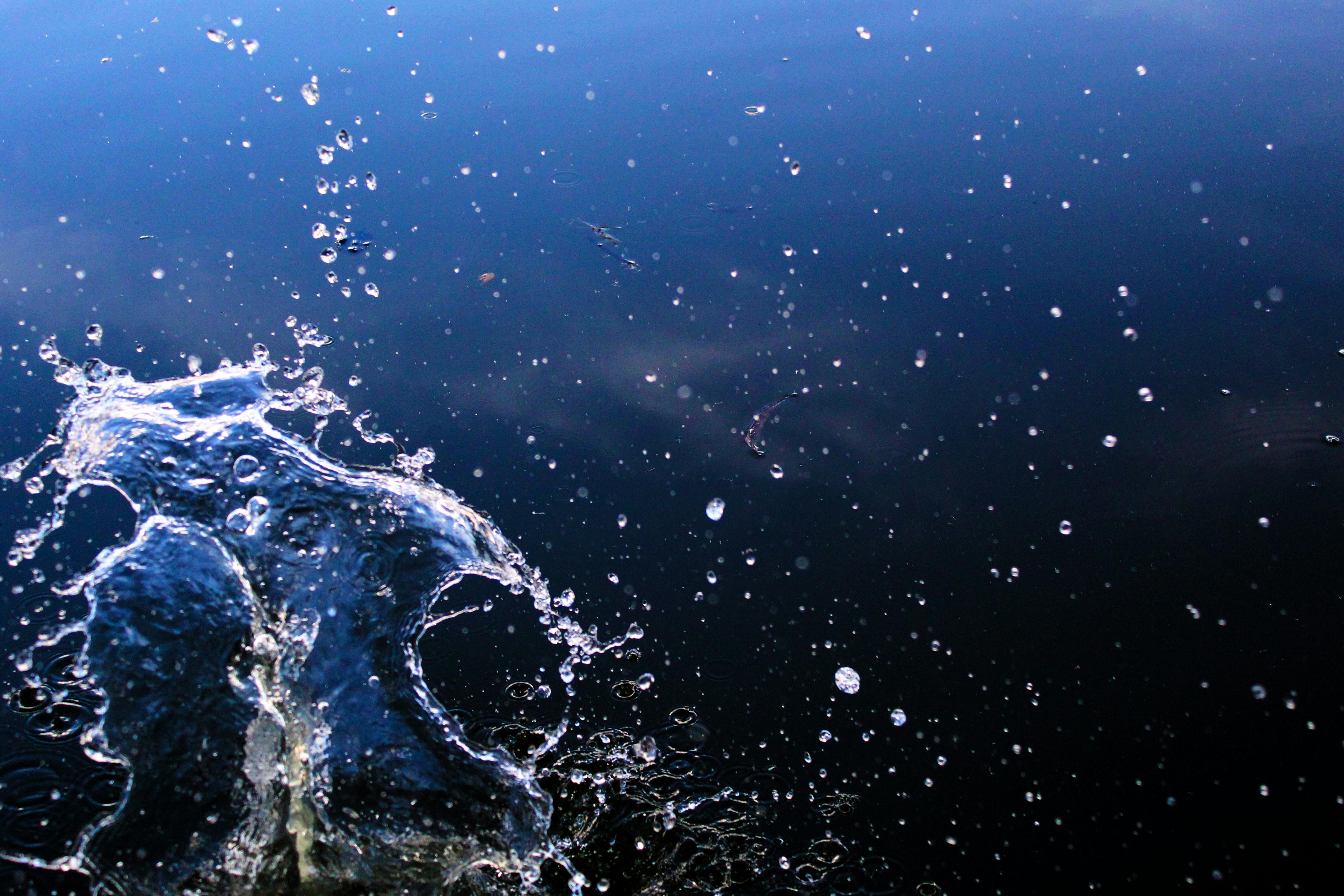 Water Splash · Free Stock Photo