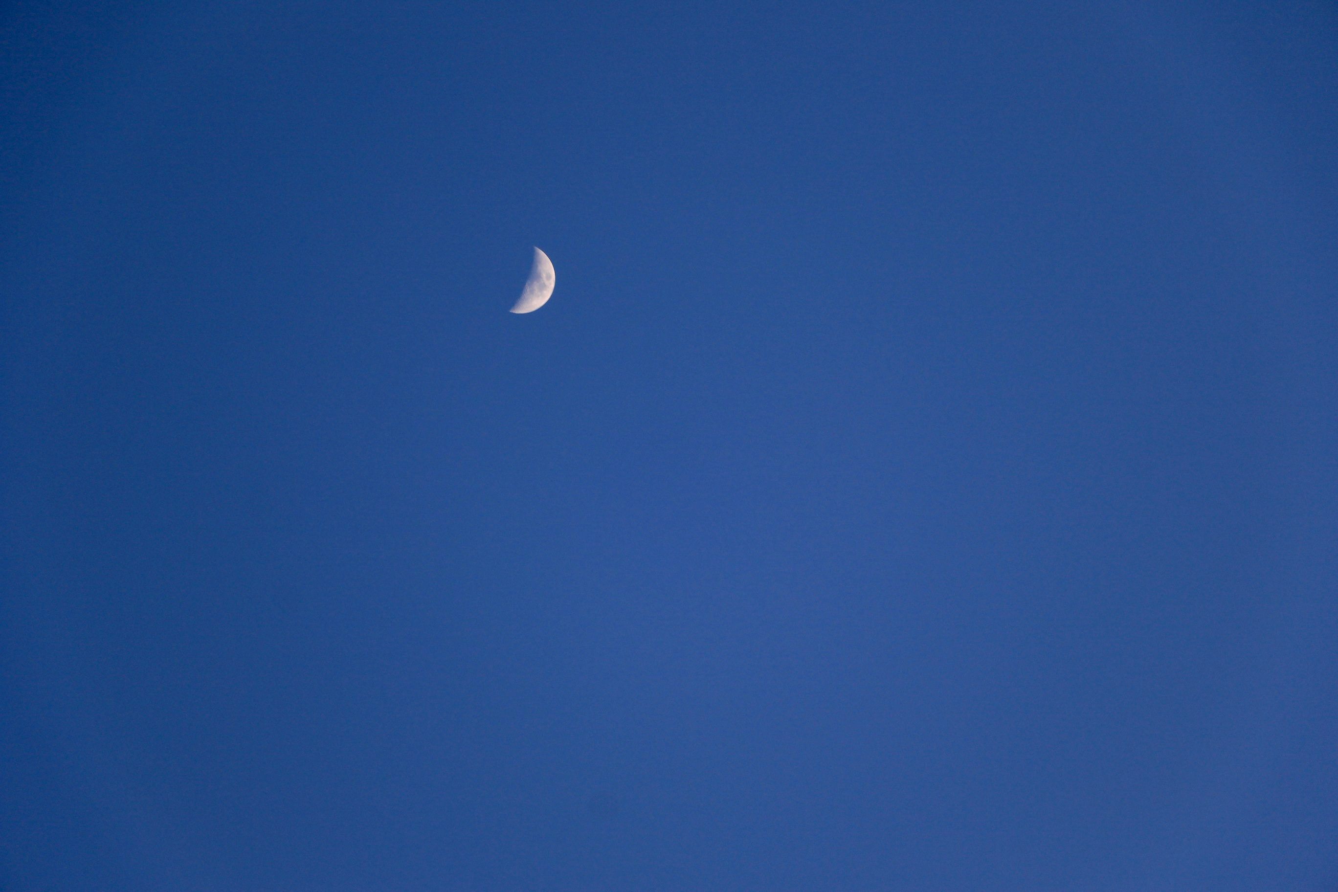 Crescent Moon on Night Sky · Free Stock Photo
