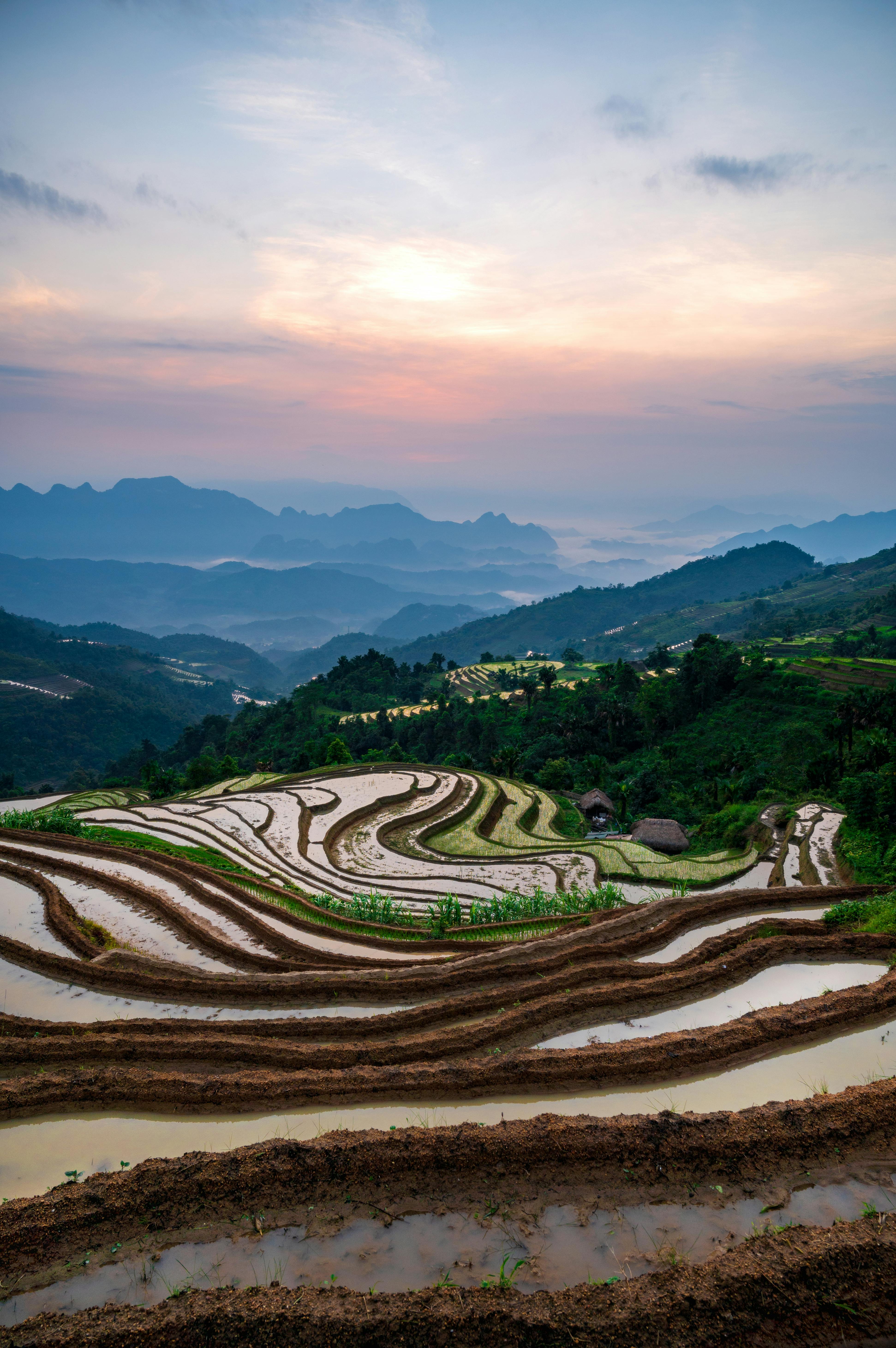 Terraced Rice Paddies in Mountains · Free Stock Photo