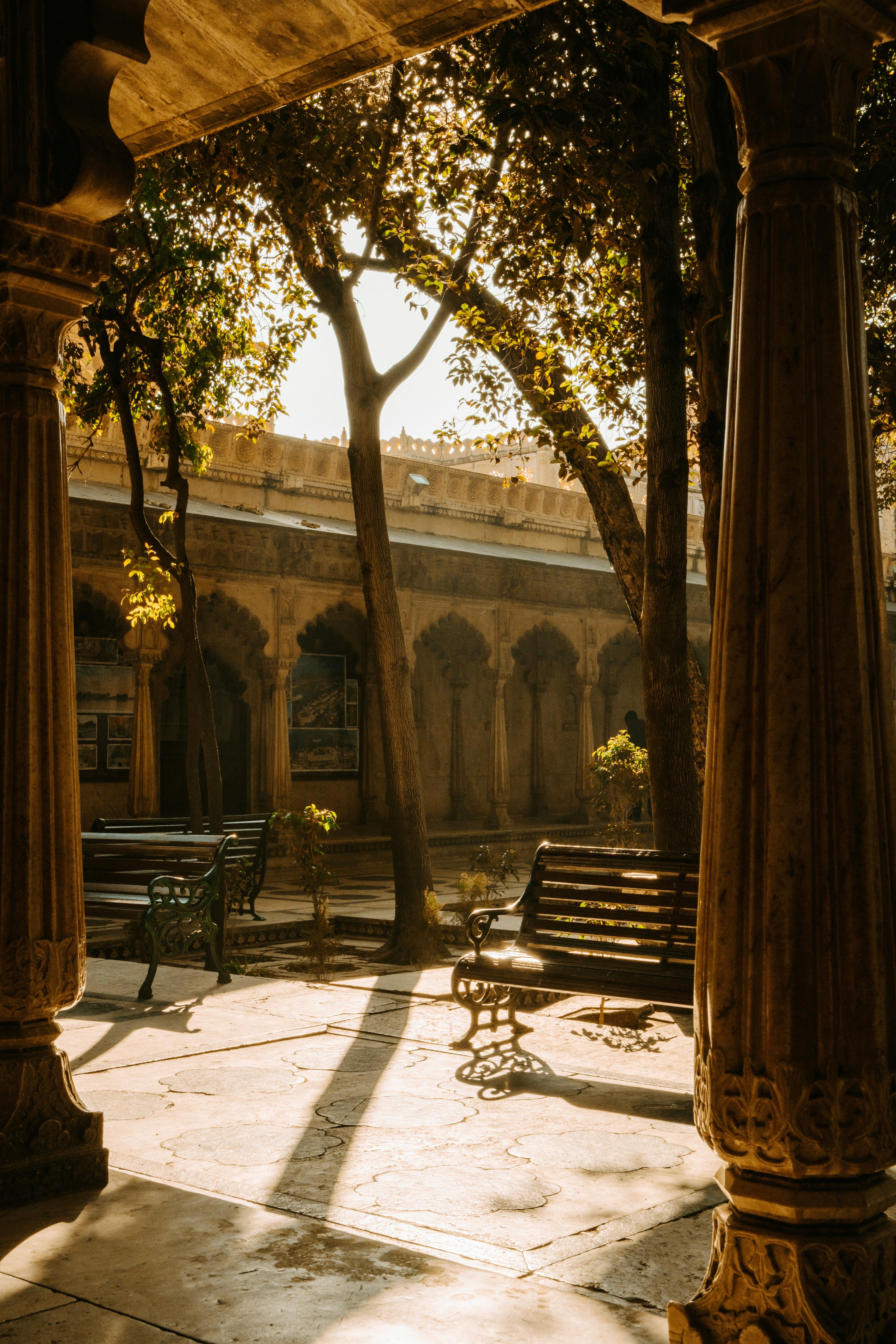 Sunlight over Courtyard with Benches and Trees · Free Stock Photo