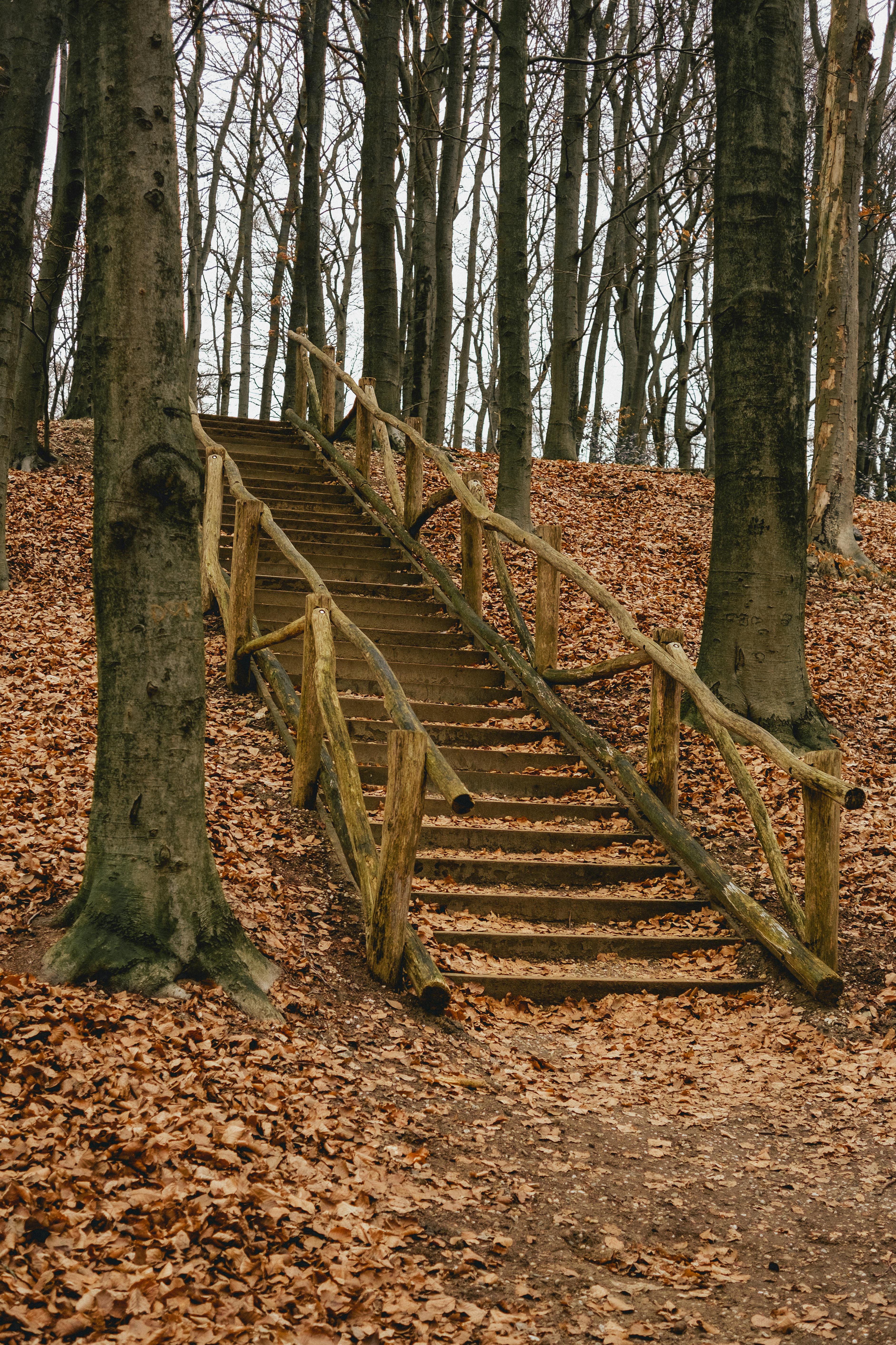 Wooden Stairs in an Autumn Park · Free Stock Photo