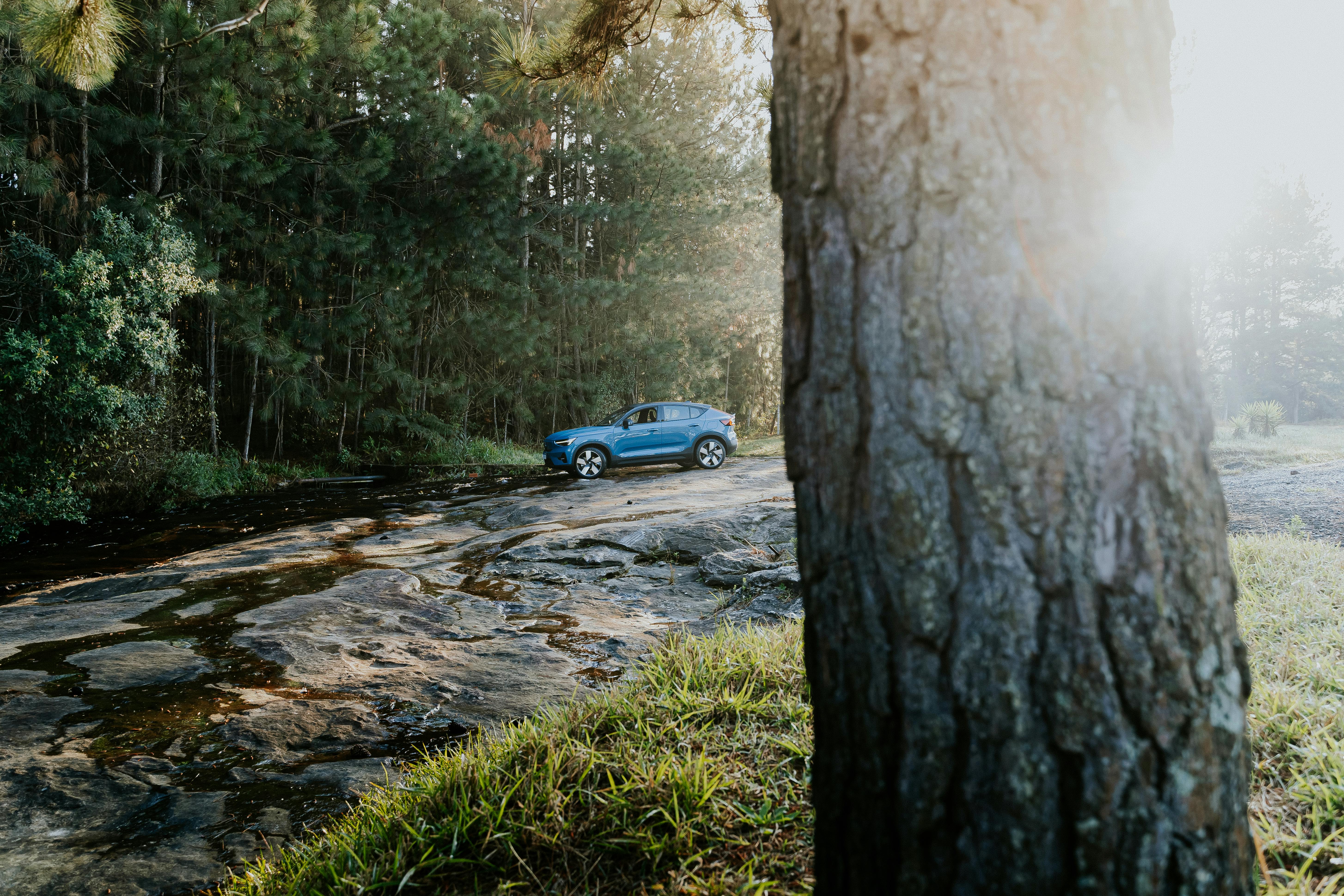 Carro na natureza · Free Stock Photo