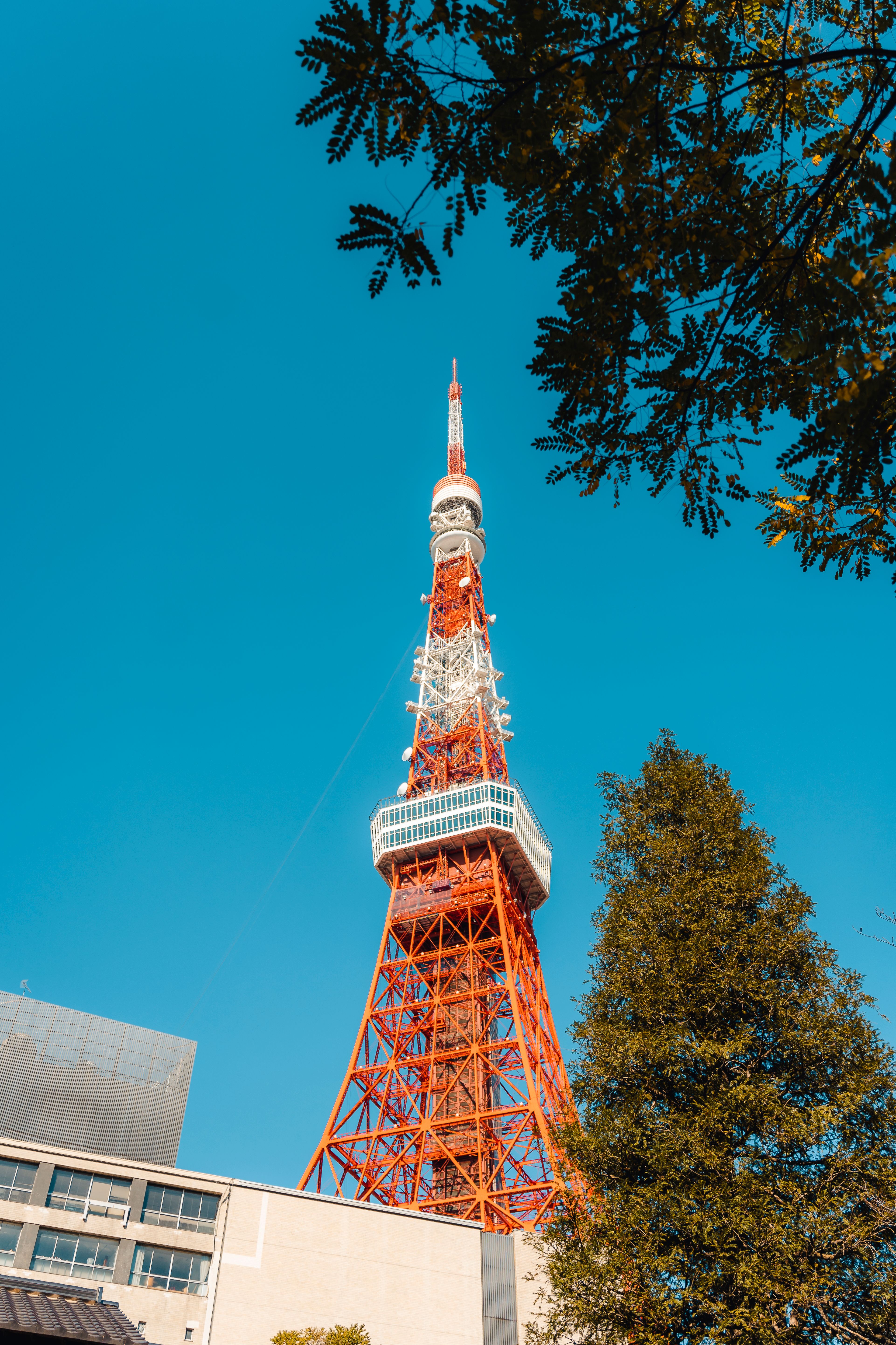 Low Angle View of Tokyo Tower · Free Stock Photo